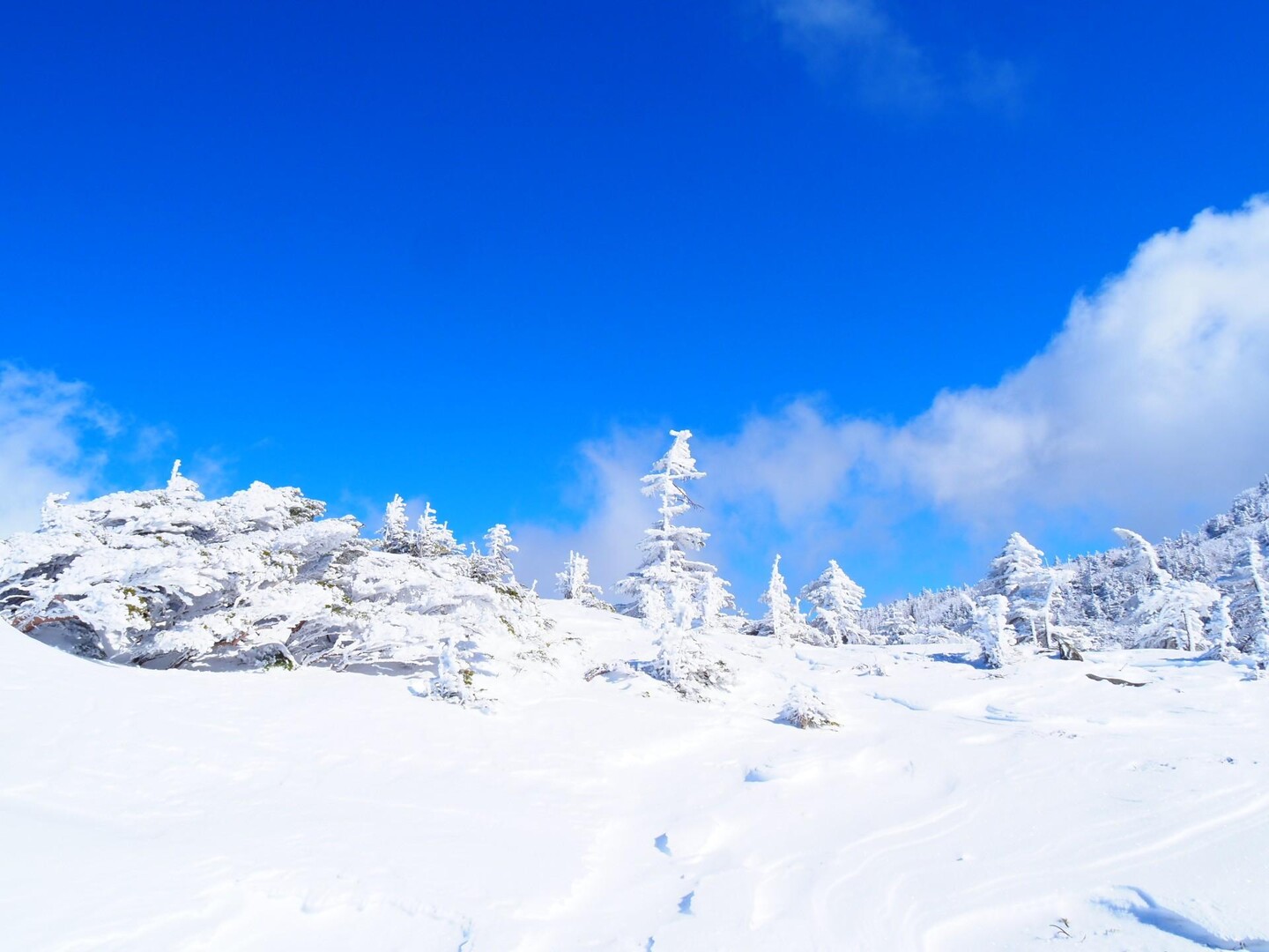 東天狗岳・天狗岳（西天狗岳）・ニュウ / Naoさんの蓼科山・横岳・縞枯山の活動日記 | YAMAP / ヤマップ