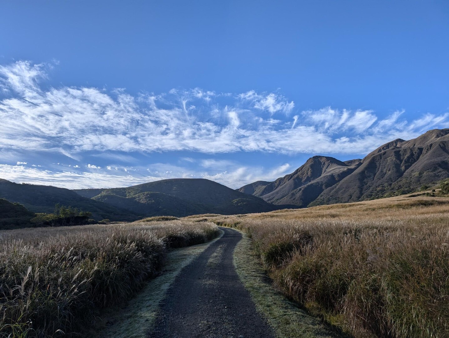 吉部P-坊ガツル-大船山・北大船山-大戸越-吉部P / Biker猫七山さんの九重山（久住山）・大船山・星生山の活動データ | YAMAP / ヤマップ