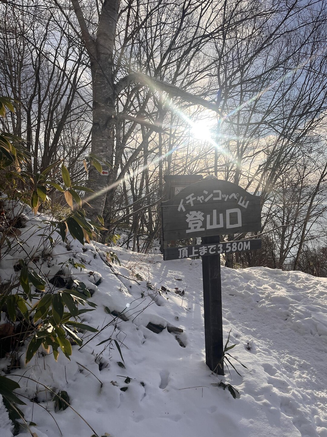 イチャンコッペ山・幌平山 / zect (ゼクト)さんのイチャンコッペ山の活動日記 | YAMAP / ヤマップ