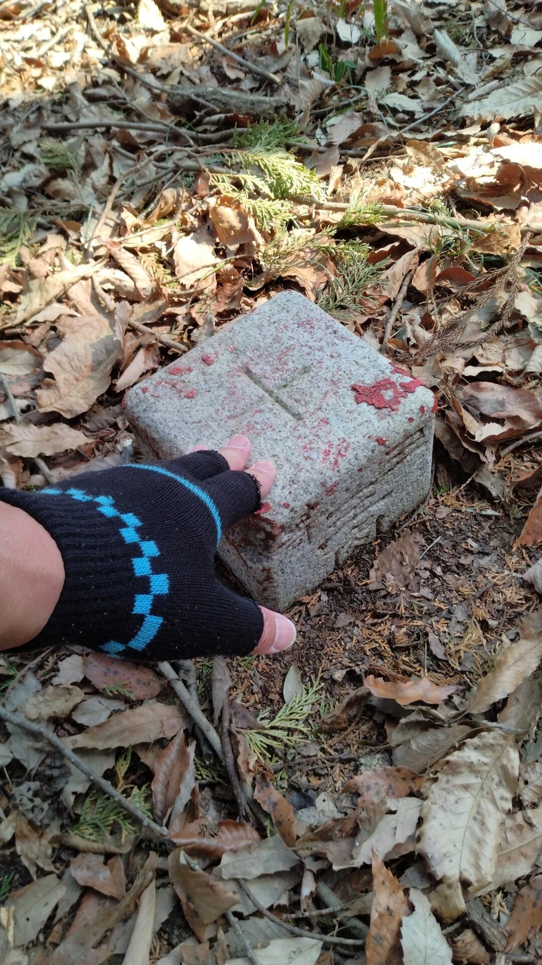 盥が峯 / type52さんの御前山の活動データ | YAMAP / ヤマップ