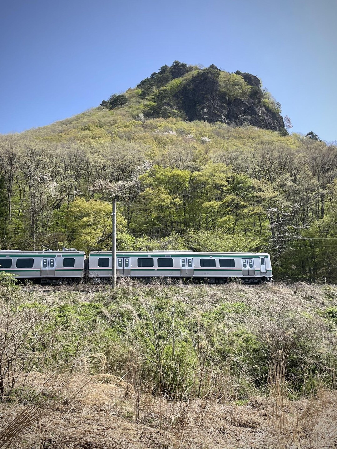 鎌倉山(ゴリラ山) / mochiさんの鎌倉山の活動データ | YAMAP / ヤマップ