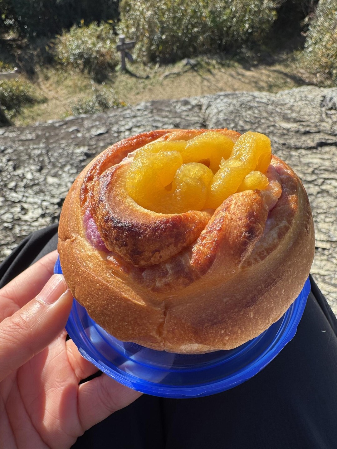 葦毛湿原から富士見岩 / rieさんの坊ヶ峰・石巻山・神石山・葦毛湿原の活動データ | YAMAP / ヤマップ