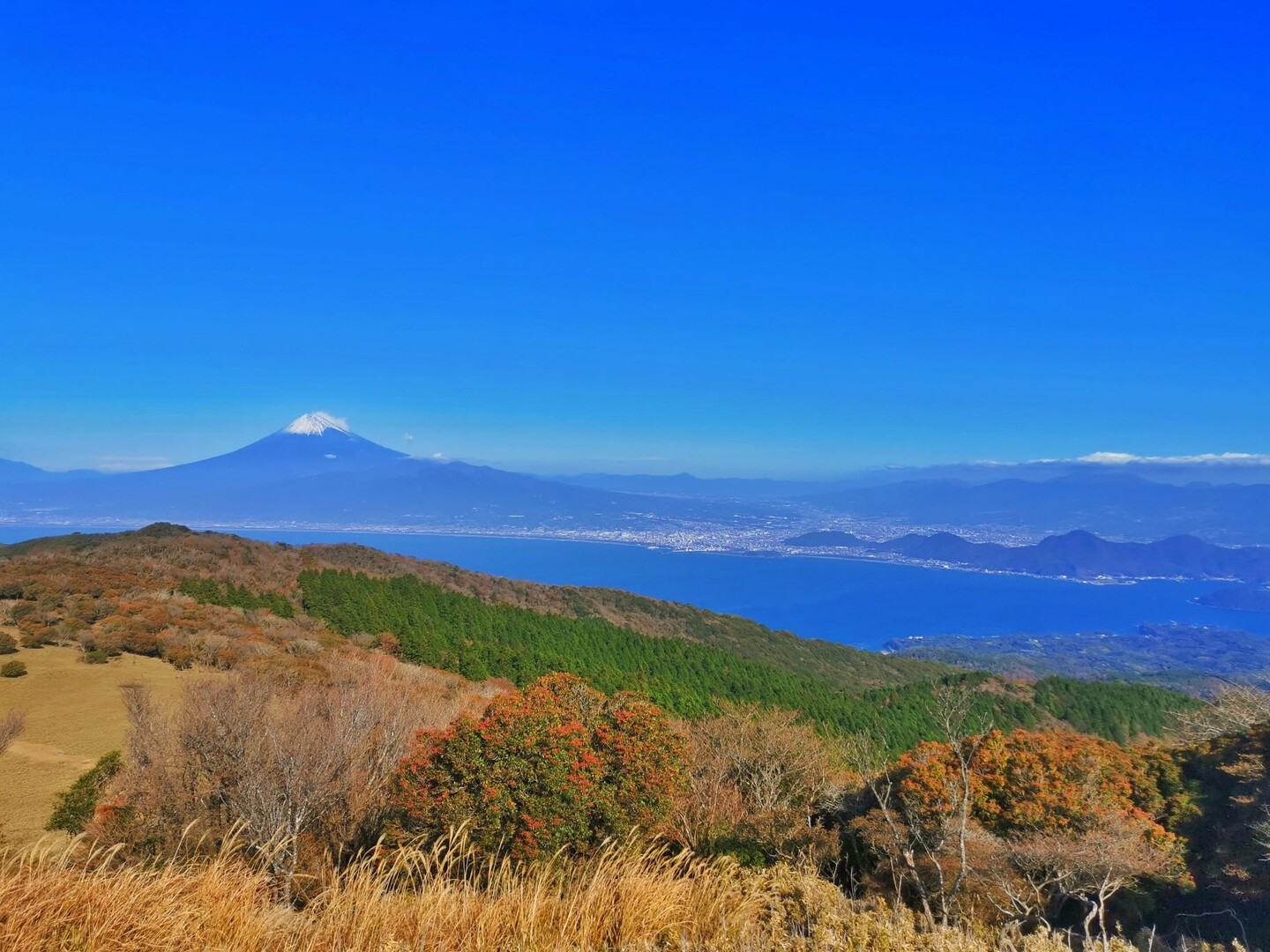 金冠山 修善寺見納めの秋🍁 / TAKE★OFFさんの金冠山・達磨山・葛城山の活動データ | YAMAP / ヤマップ