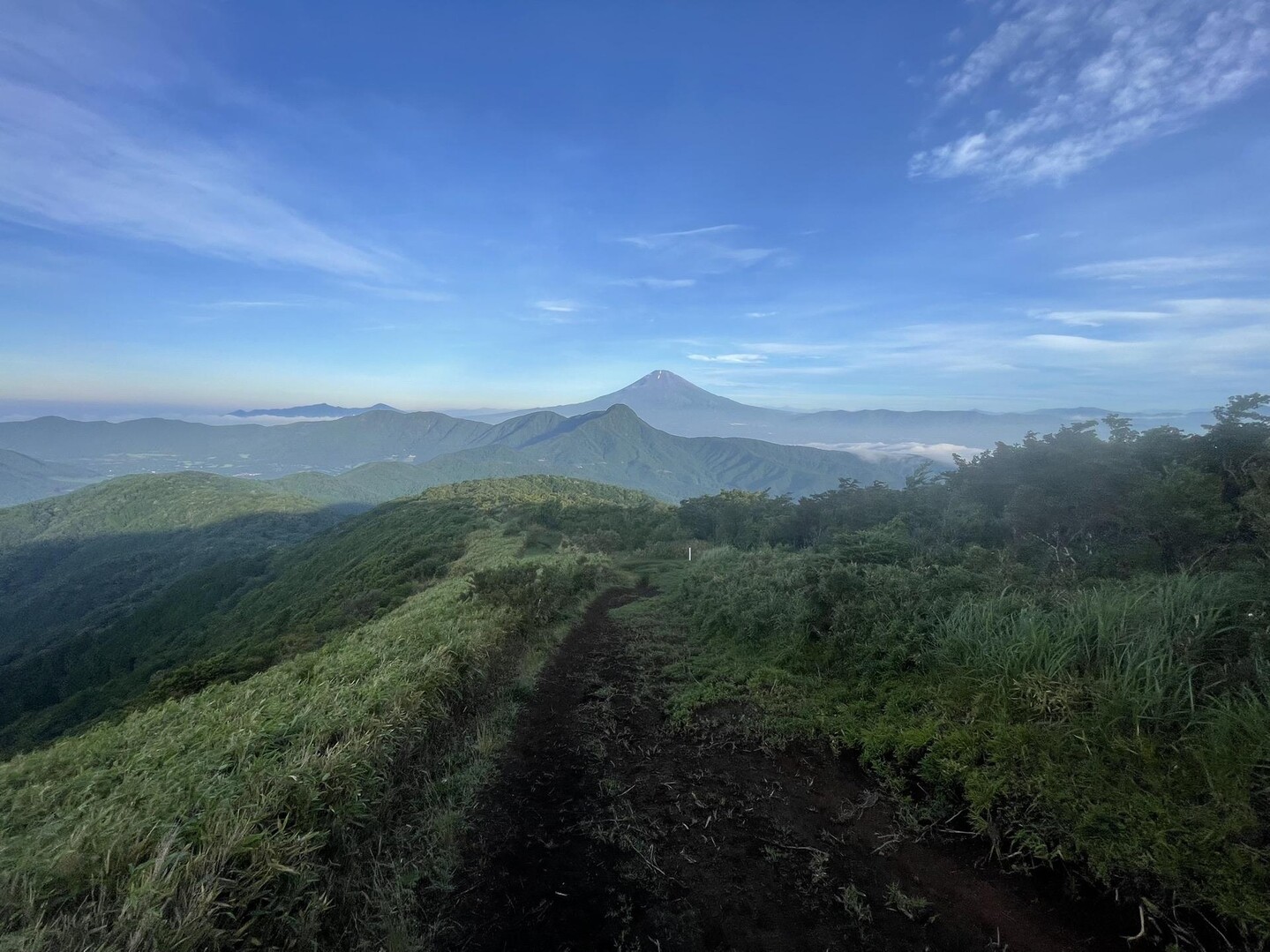 ガイリーン Season6 / t. katoさんの箱根山・神山の活動データ | YAMAP / ヤマップ