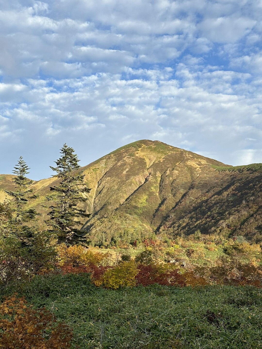 火打山 / PJさんの妙高山・火打山の活動データ | YAMAP / ヤマップ