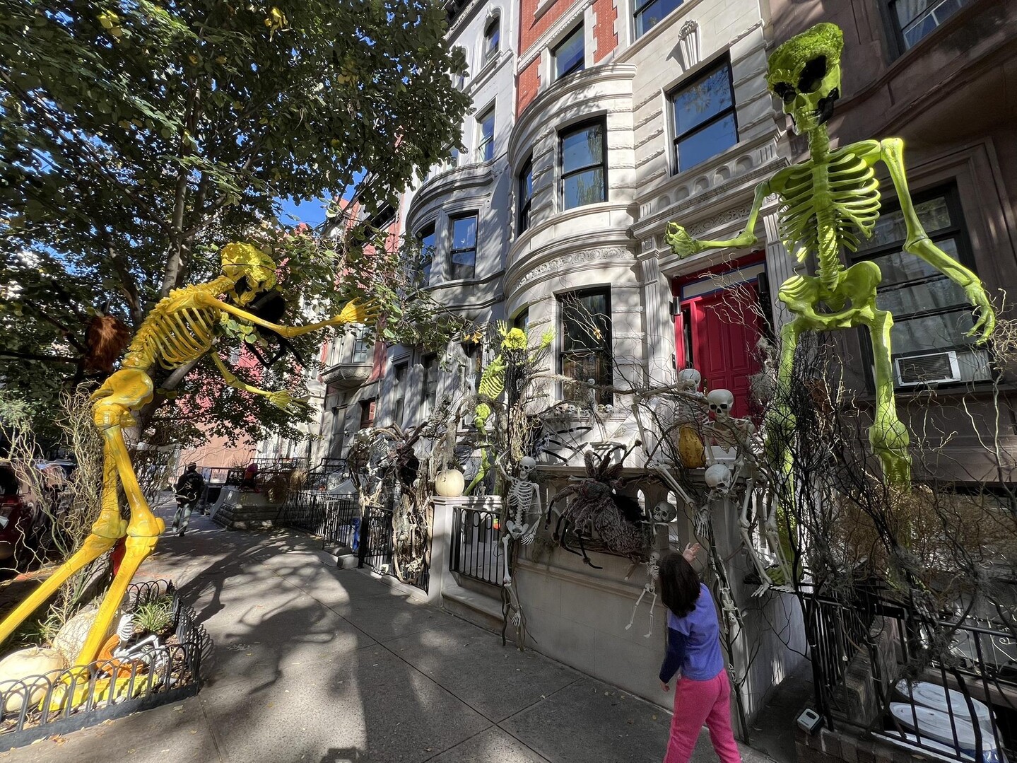 ニューヨークからHappy Hallow... / Mt Adventureさんのモーメント | YAMAP / ヤマップ