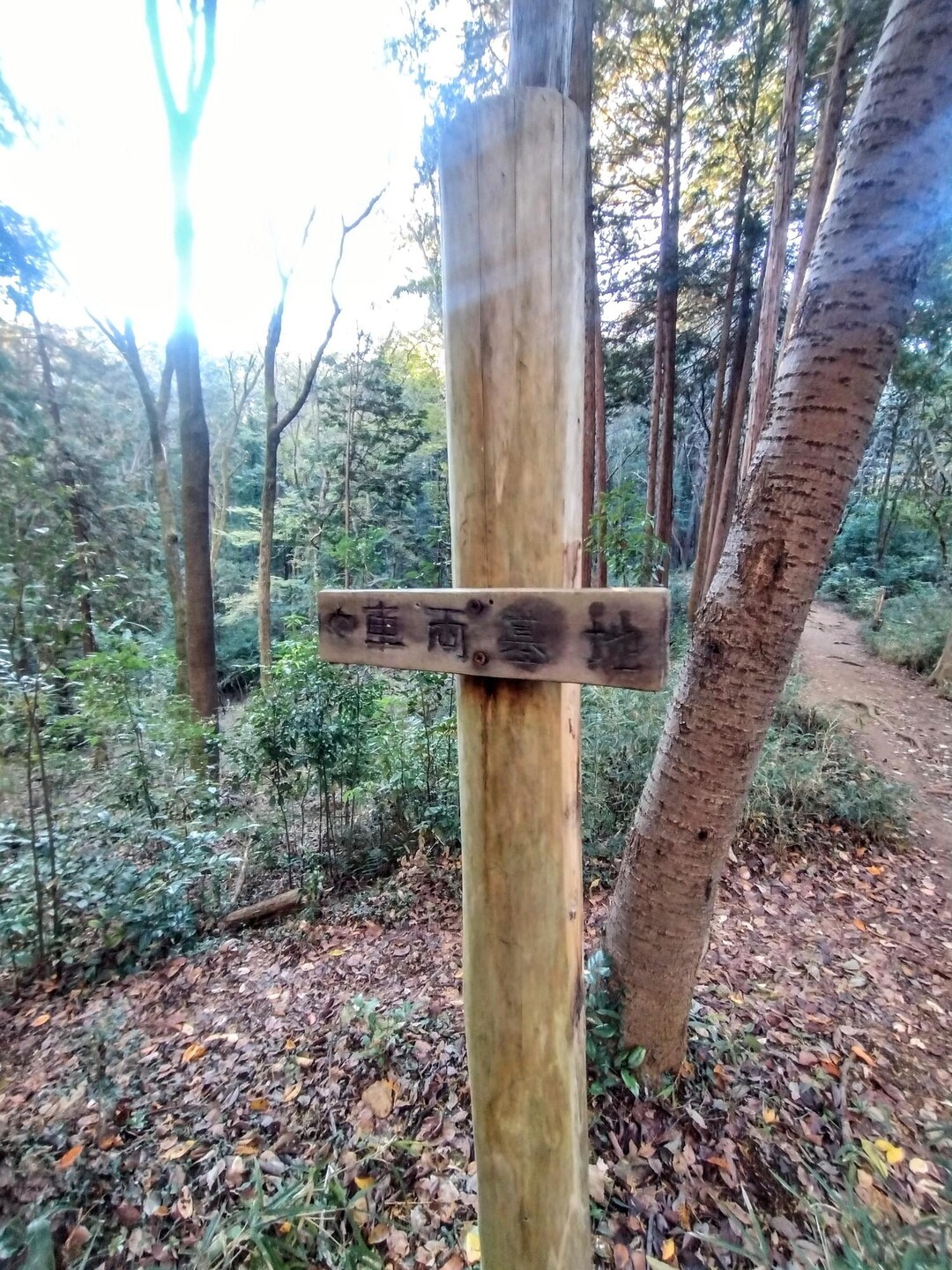 体調不安〜リハビリとてお散歩、 車両…墓... / Ru-Meさんのモーメント | YAMAP / ヤマップ