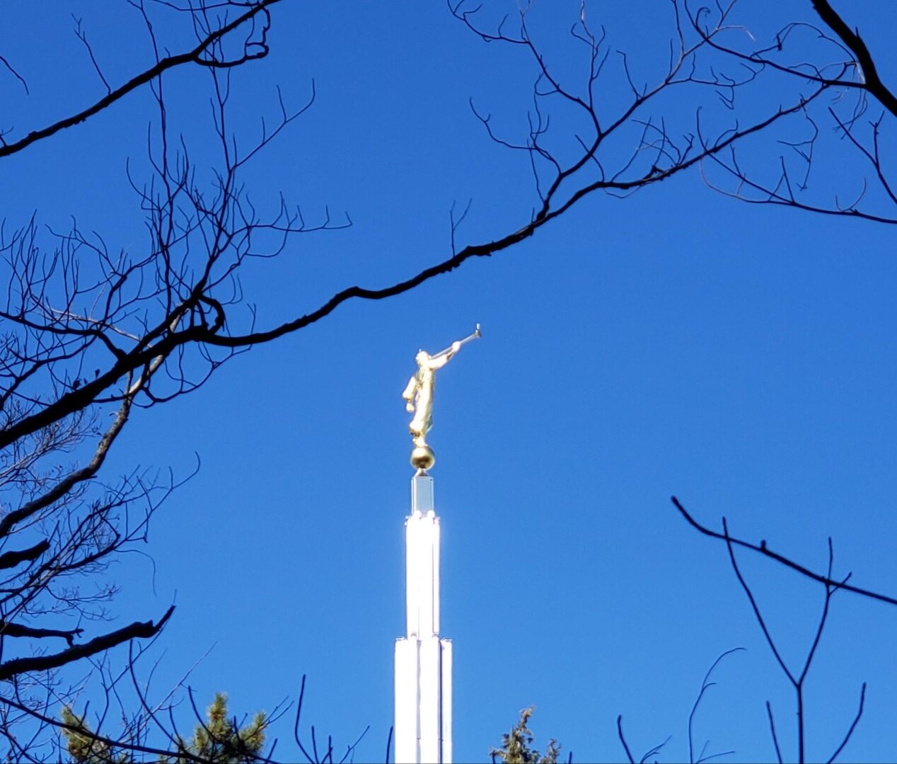 お正月·市街地をブラブラ / iSleepさんのウォーキングの活動データ | YAMAP / ヤマップ