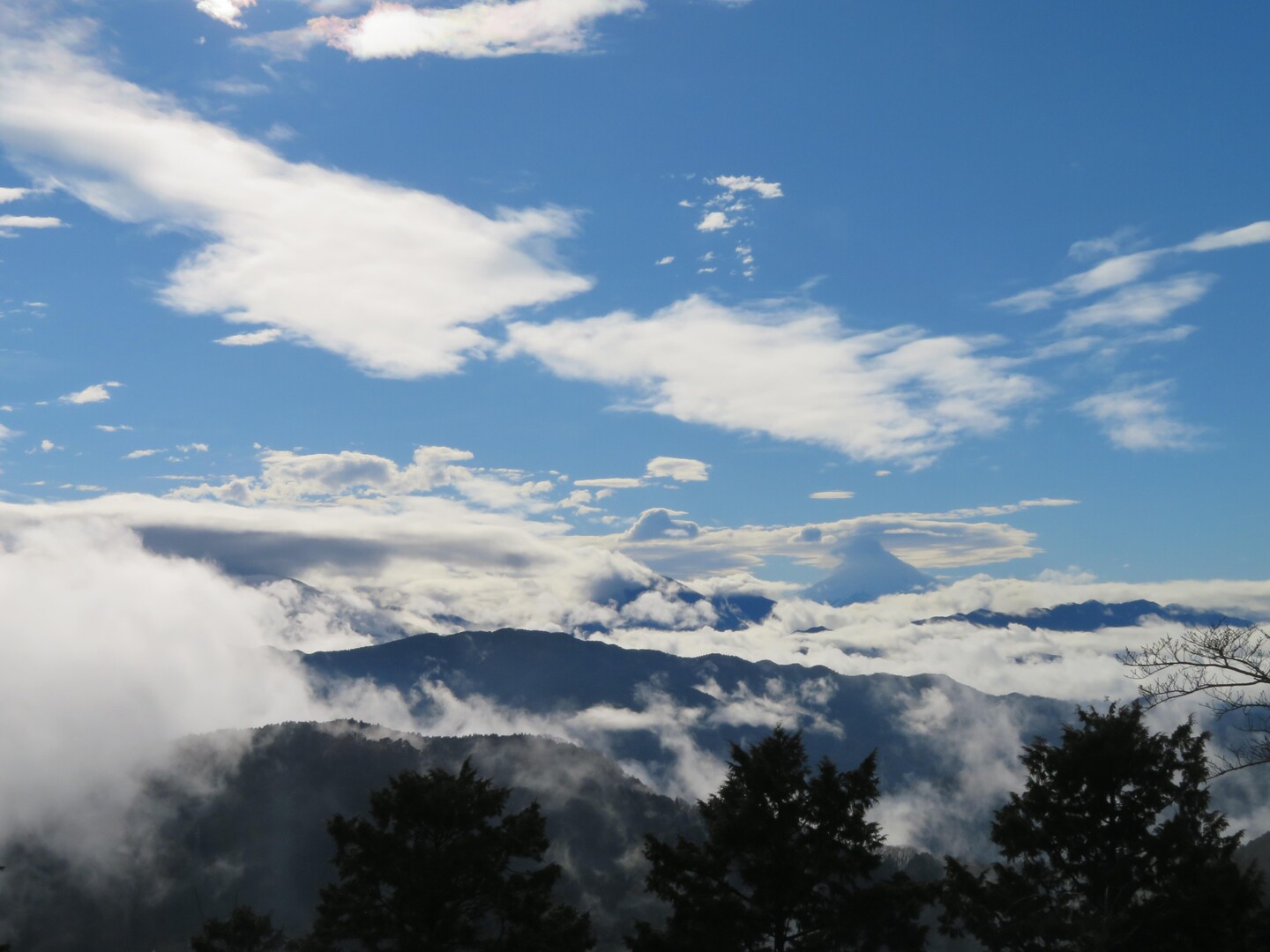 雨さんぽ：高尾山 / sa-sho-さんの高尾山・陣馬山・景信山の活動データ | YAMAP / ヤマップ