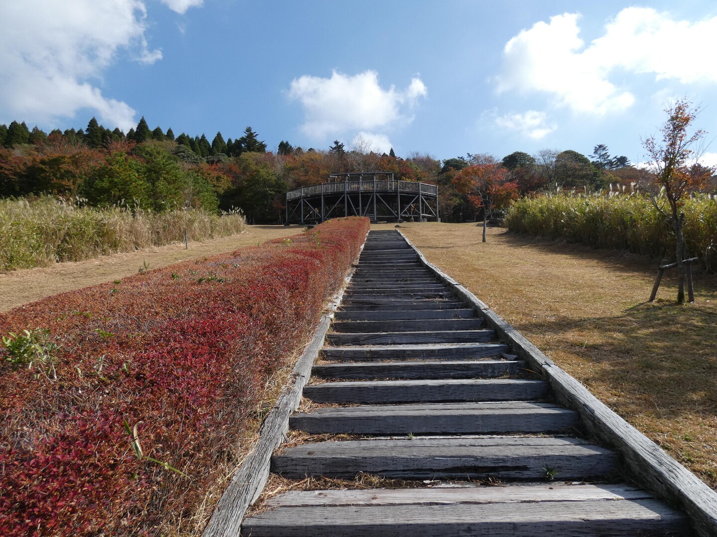 栗野岳第2峰・栗野岳 / kawaさんの栗野岳・日添岳・えびの岳の活動データ | YAMAP / ヤマップ