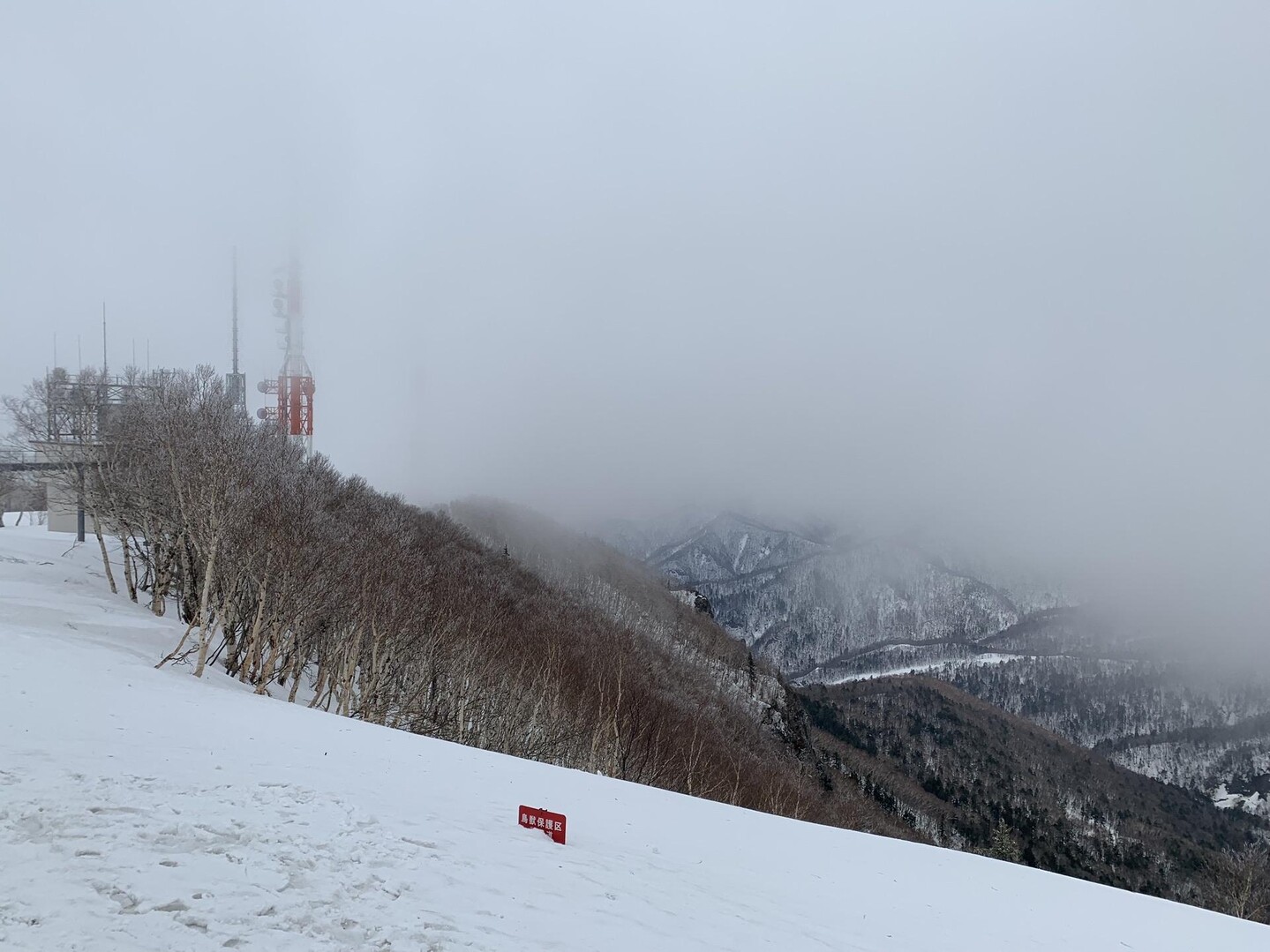 硬めバーンの手稲山ski / bono.さんの手稲山・奥手稲山の活動データ | YAMAP / ヤマップ