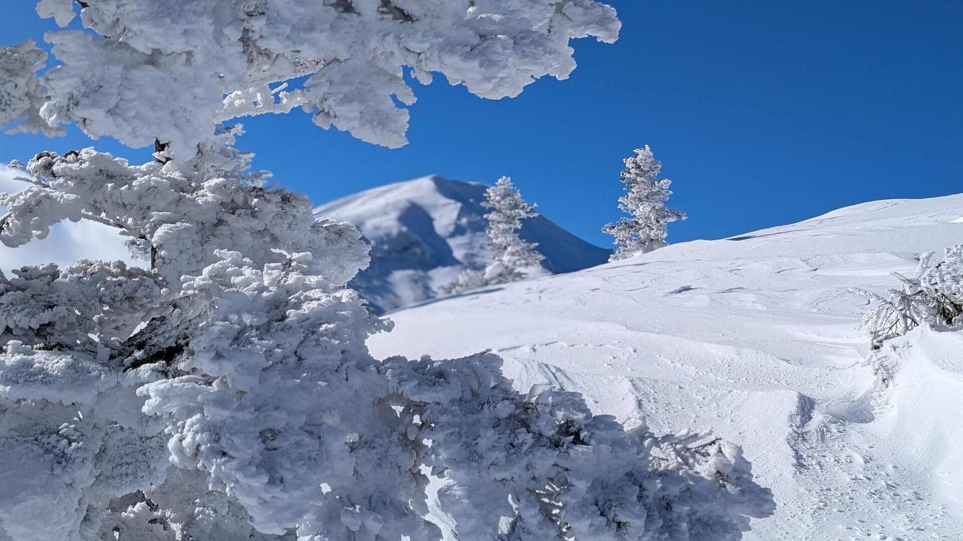 雛岳 今年初のスタート。八甲田連峰。 / RS-1 PHD さんの八甲田山・高田大岳・雛岳の活動データ | YAMAP / ヤマップ