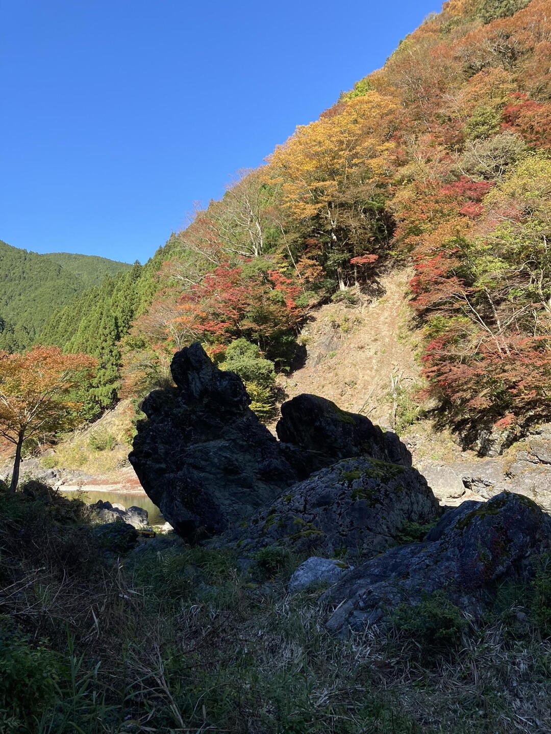 最近公開された天川みずはボルダー、朝だけ... / TQさんのモーメント | YAMAP / ヤマップ