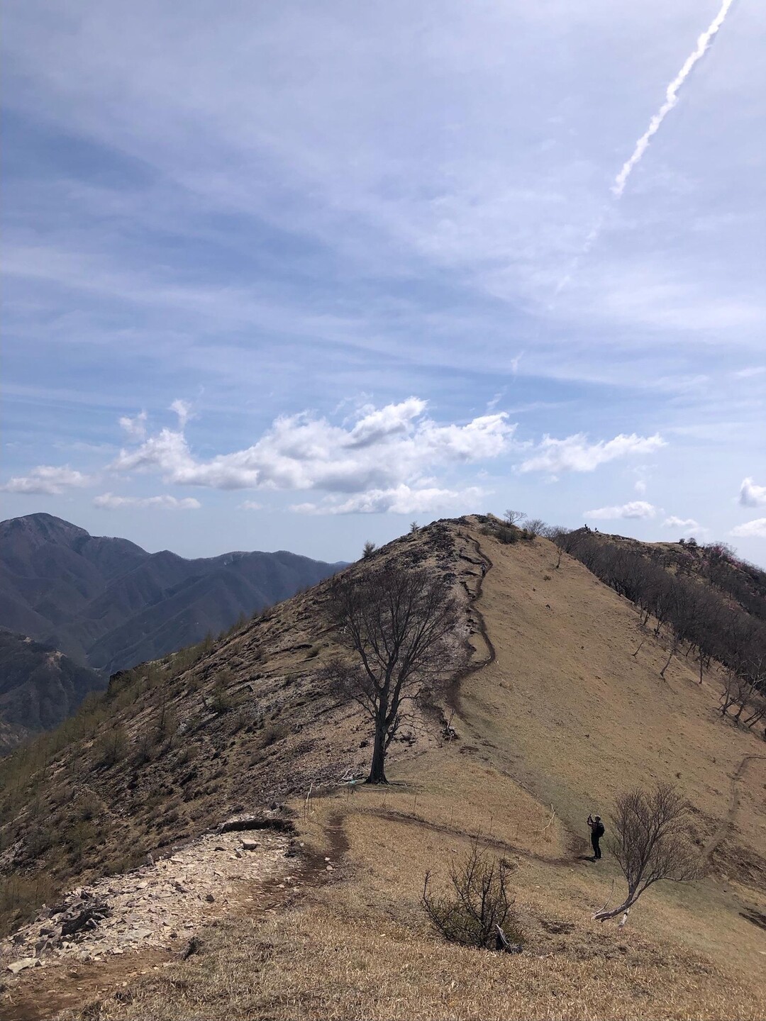 中倉山・孤高のブナ / FujiHiroさんの皇海山・袈裟丸山・庚申山の活動データ | YAMAP / ヤマップ