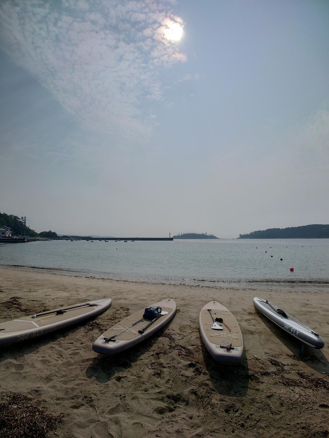 大島SUP 小田の浜 / SHINICHIさんの亀山の活動データ | YAMAP / ヤマップ