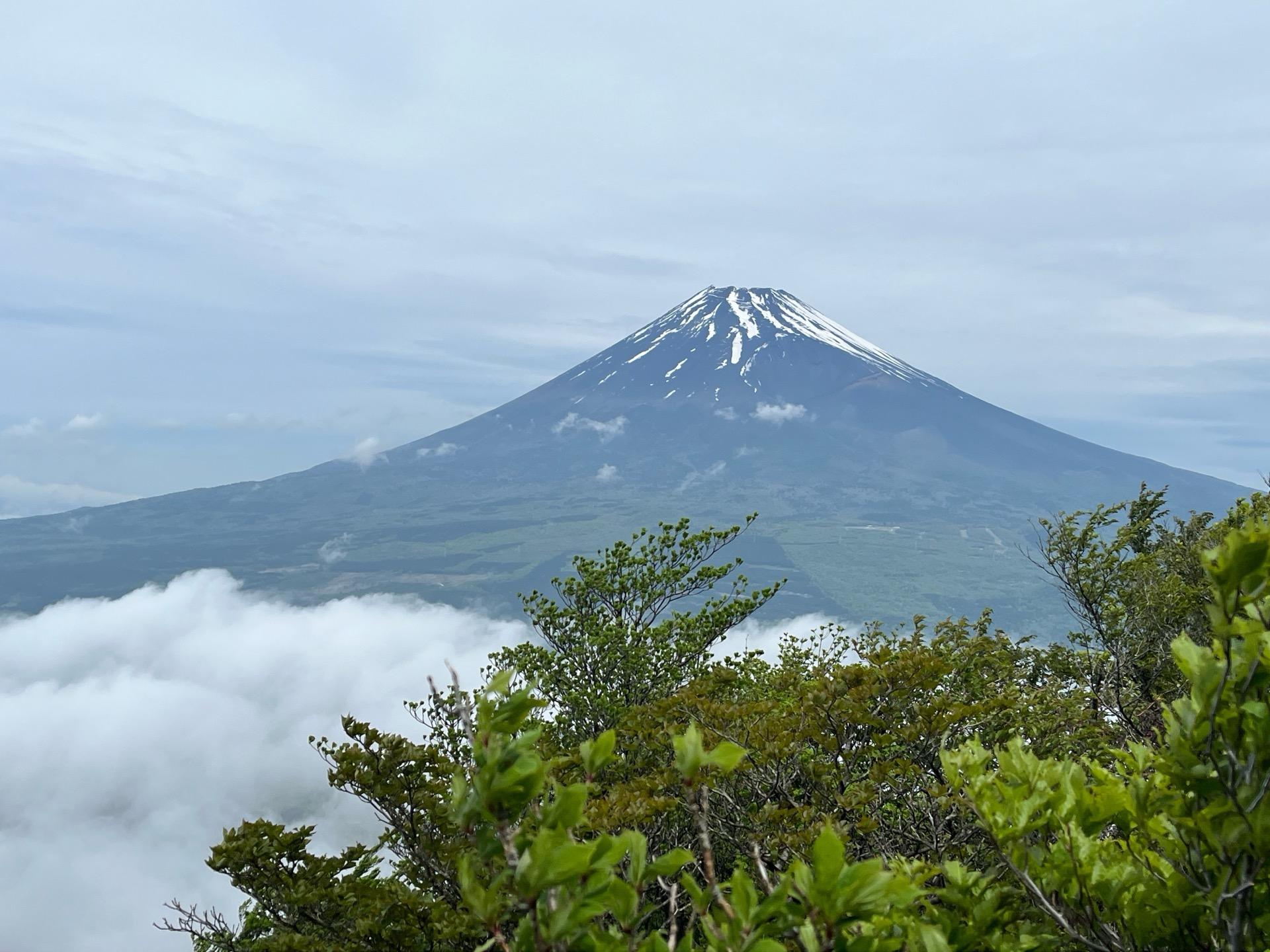 越前岳・呼子岳・高場所周回 / HALさんのFUJISAN LONG TRAIL（愛鷹・富士南麓エリア SOUTH）の活動データ | YAMAP / ヤマップ