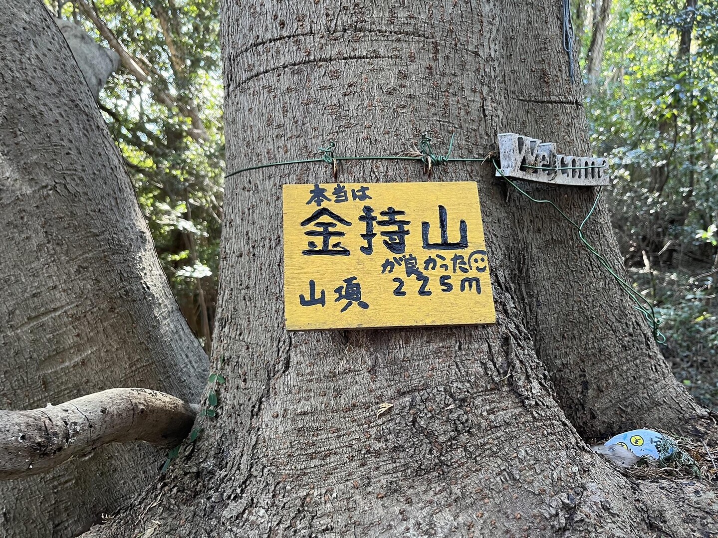 名電山中から東幡豆まで…初冬の山歩き / Kumagoro さんの三ヶ根山の活動データ | YAMAP / ヤマップ