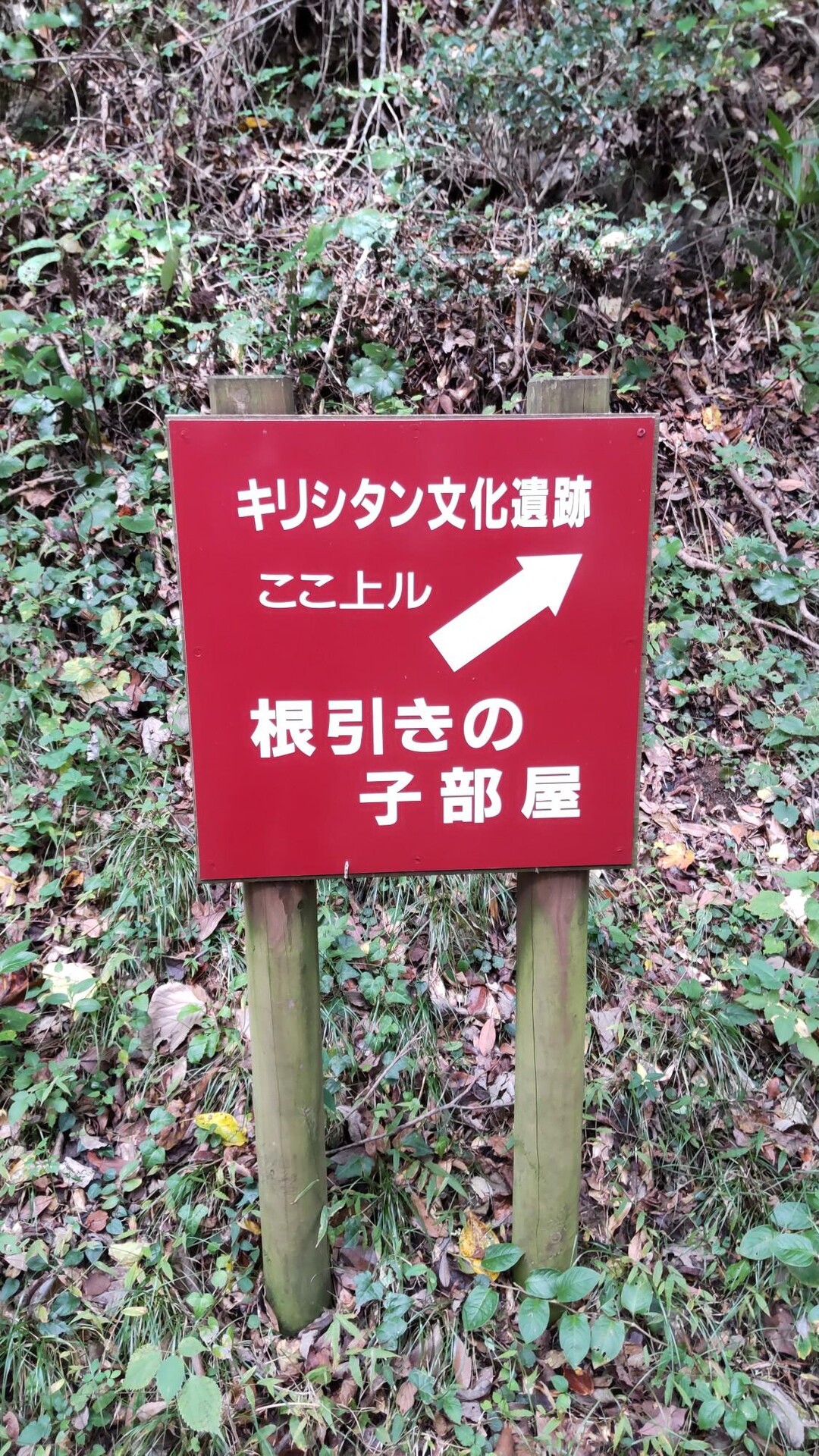 矢筈岳 / *みのりさんの下島（天草諸島）中央エリア・頭岳の活動データ | YAMAP / ヤマップ