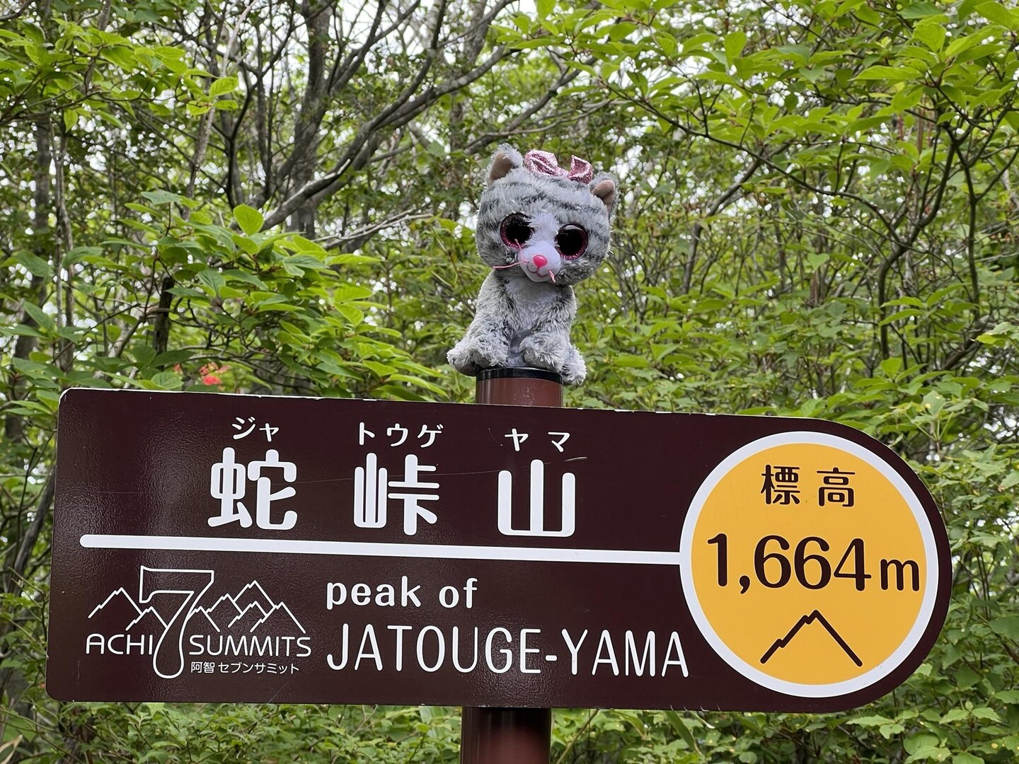 蛇峠山-2023-06-18 / ISSEIさんの蛇峠山の活動データ | YAMAP / ヤマップ