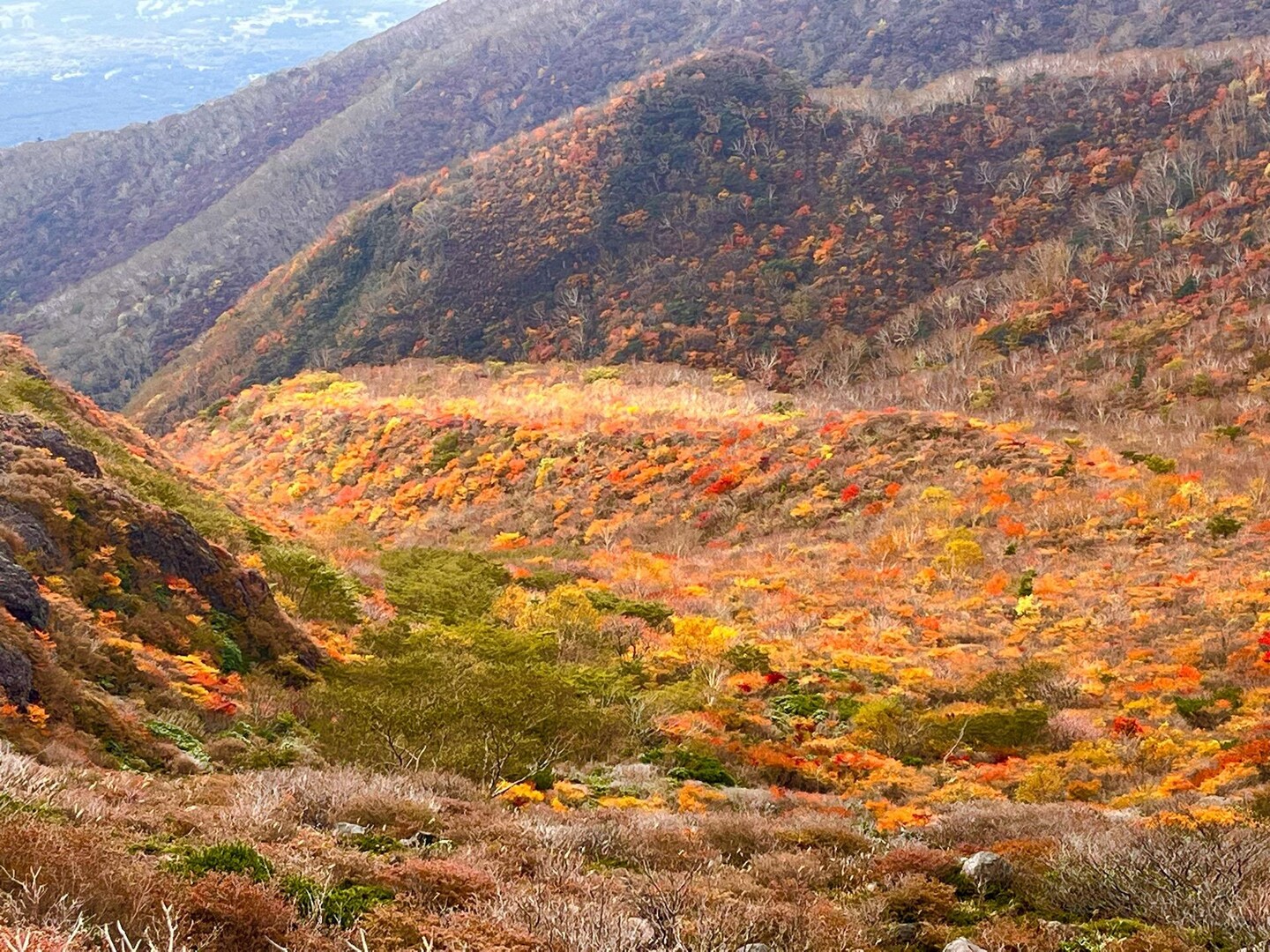 【那須岳】紅葉レポート🍁錦秋の那須岳南面へ / A1さんの茶臼岳（那須岳）・三本槍岳・赤面山の活動データ | YAMAP / ヤマップ