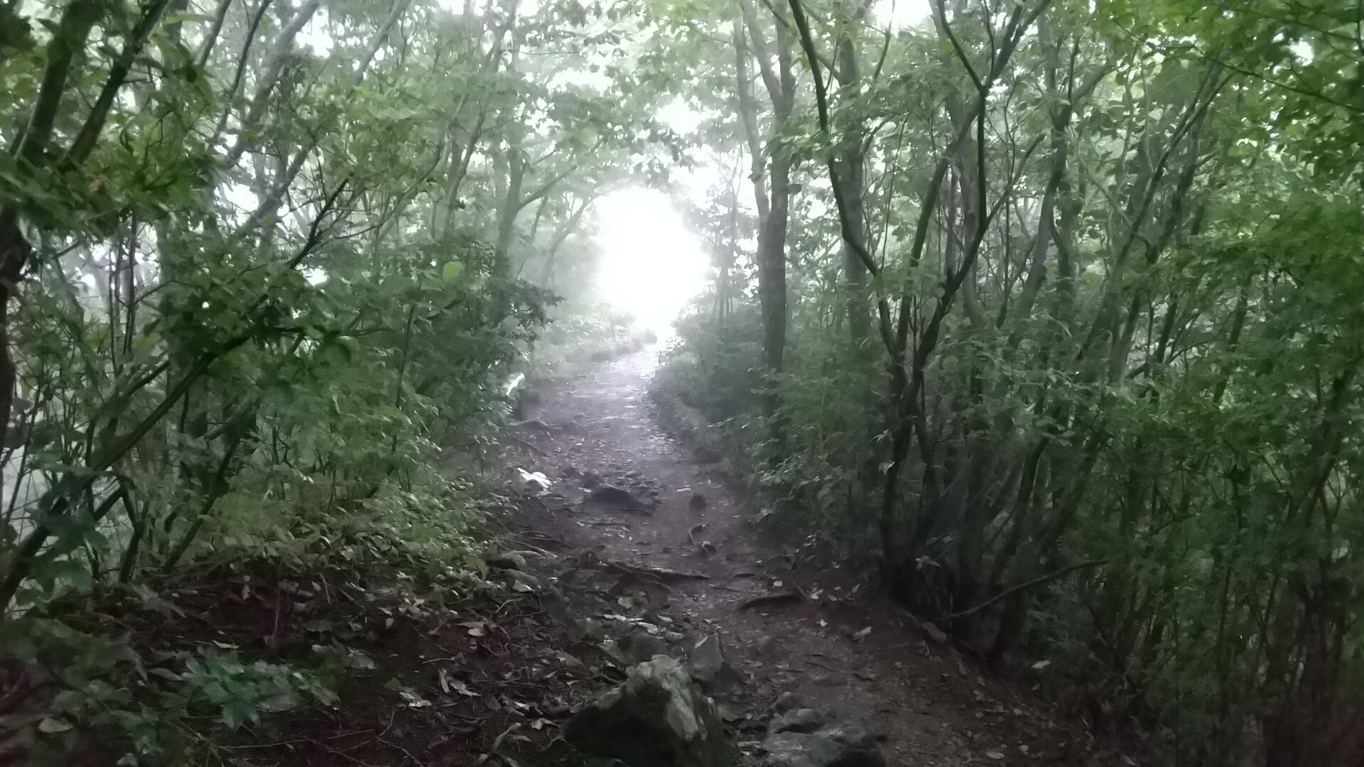 浅間山(水沢山) / J-taroさんの榛名山・天狗山・天目山の活動データ | YAMAP / ヤマップ