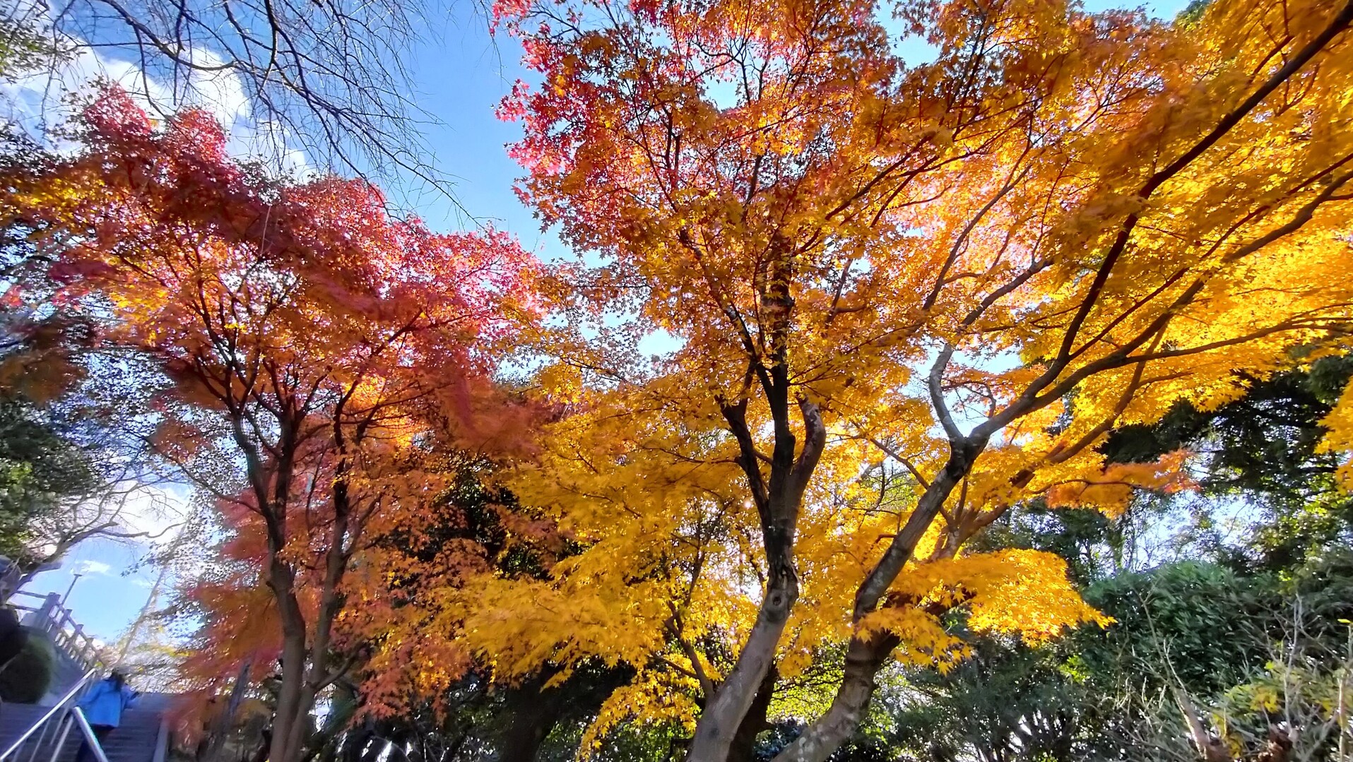 岡山(1) 清水山帰りのおかわり登山 / グフ・カスタム（MS-07B-3)さんの久留米市の活動データ | YAMAP / ヤマップ