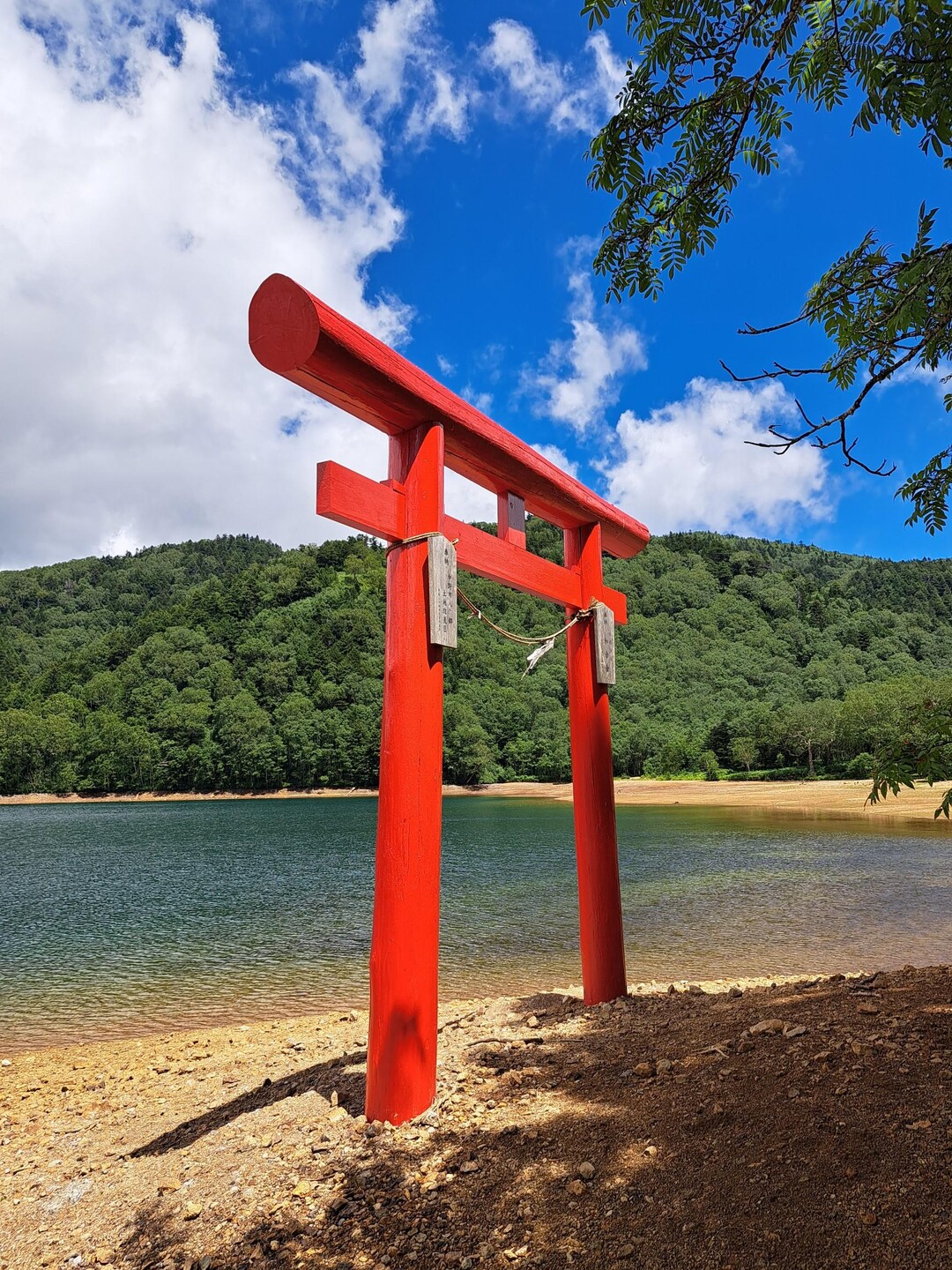 渋峠 ·鉢山・大沼池·裏志賀山・志賀山 / Erinaさんの横手山・志賀山・赤石山の活動データ | YAMAP / ヤマップ