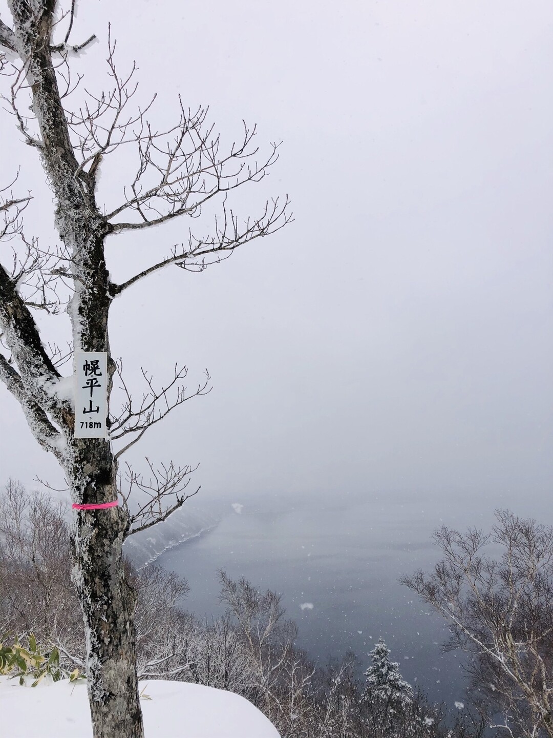 2021年1月 初めて冬山も、ど、き、の... / FUM!さんのモーメント | YAMAP / ヤマップ