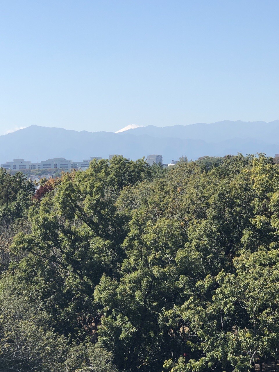 1枚目 : SNOOPY ミュージア... / らんさんのモーメント | YAMAP / ヤマップ