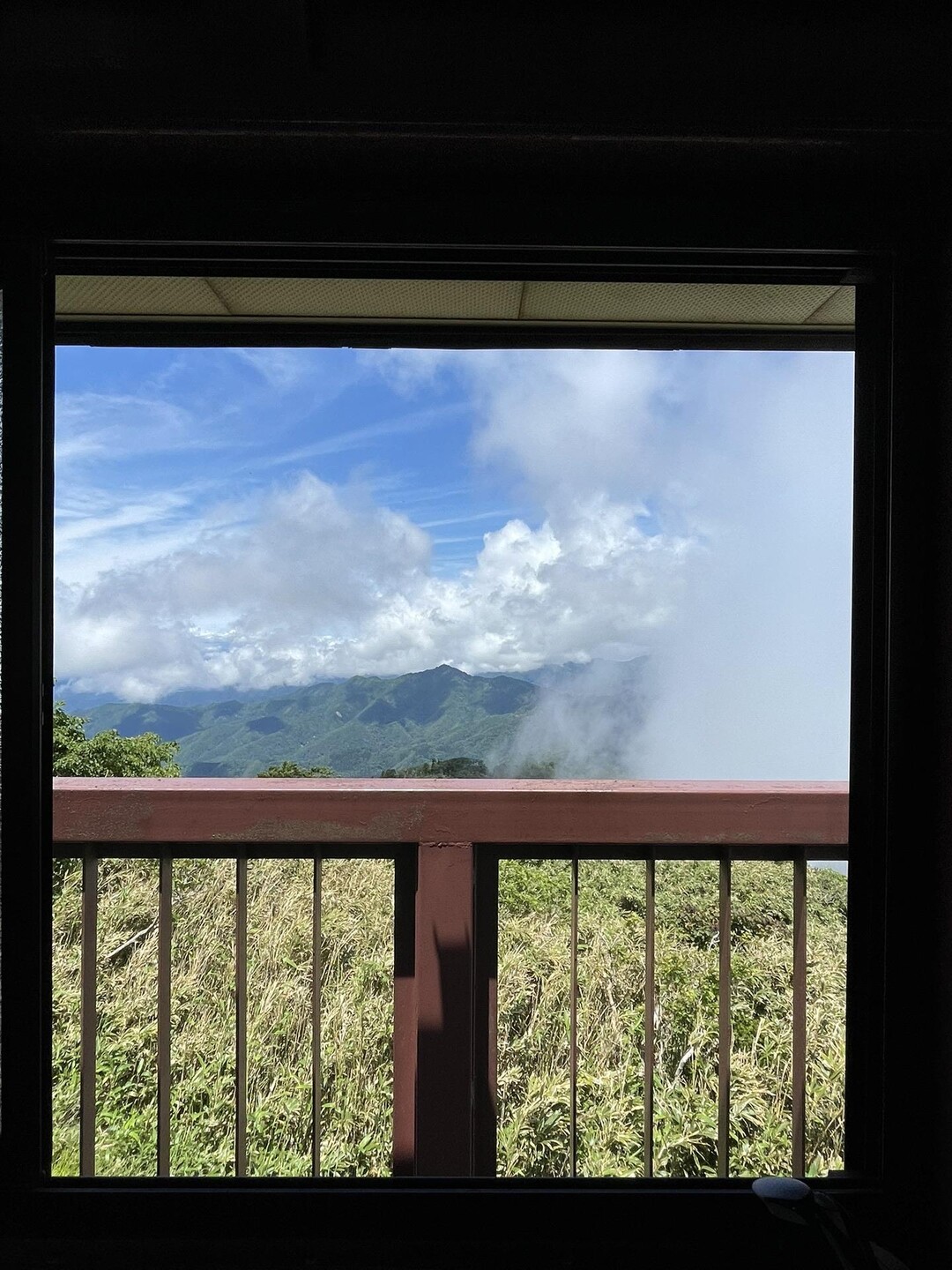 雨あがりの氷ノ山 / kakoさんの氷ノ山（須賀ノ山）・鉢伏山・瀞川山の活動データ | YAMAP / ヤマップ