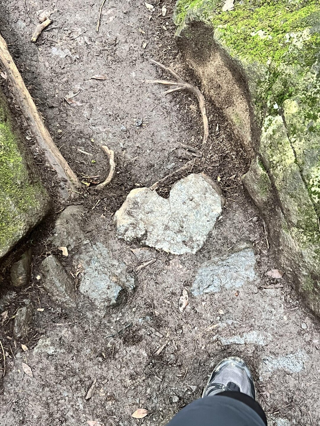 体力の衰え🫃 / Hik@ruさんの筑波山の活動データ | YAMAP / ヤマップ