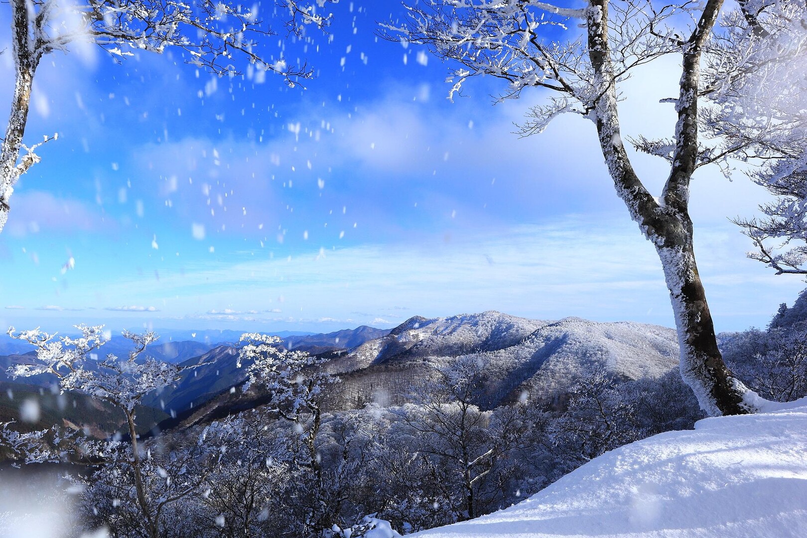 X'mas明神ブルー / まるまるお化けさんの桧塚奥峰・明神岳・薊岳の活動データ | YAMAP / ヤマップ