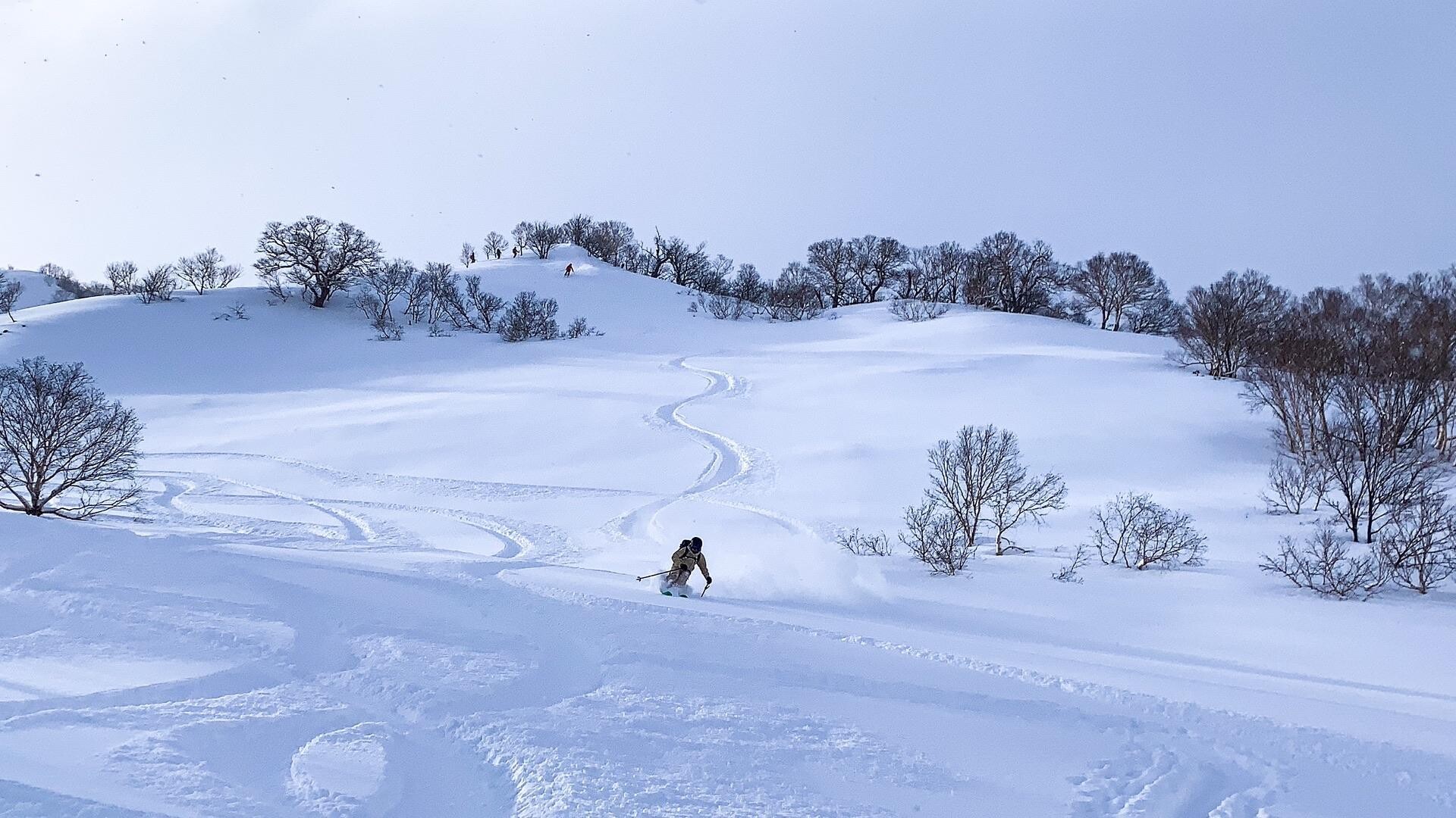 利尻でsuper dry pow! / こばーんさんの利尻山（利尻富士）の活動データ | YAMAP / ヤマップ