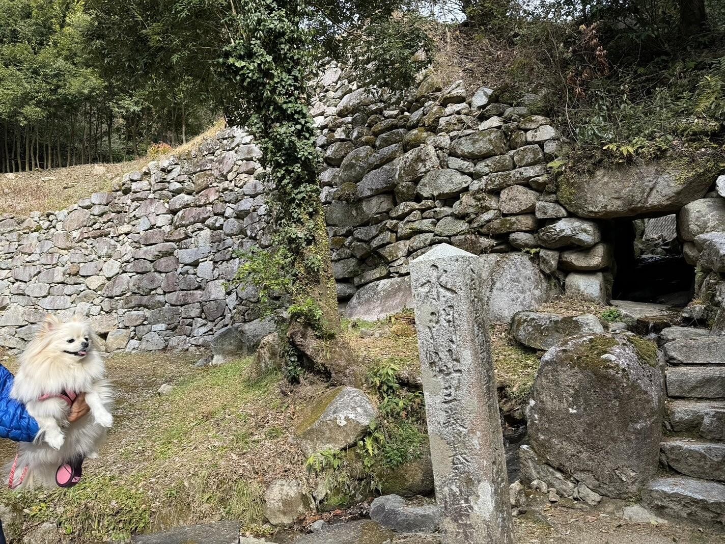 城っぷ其之二 基肄城(基山)ほか / al (アル)さんの天拝山・基山の活動データ | YAMAP / ヤマップ