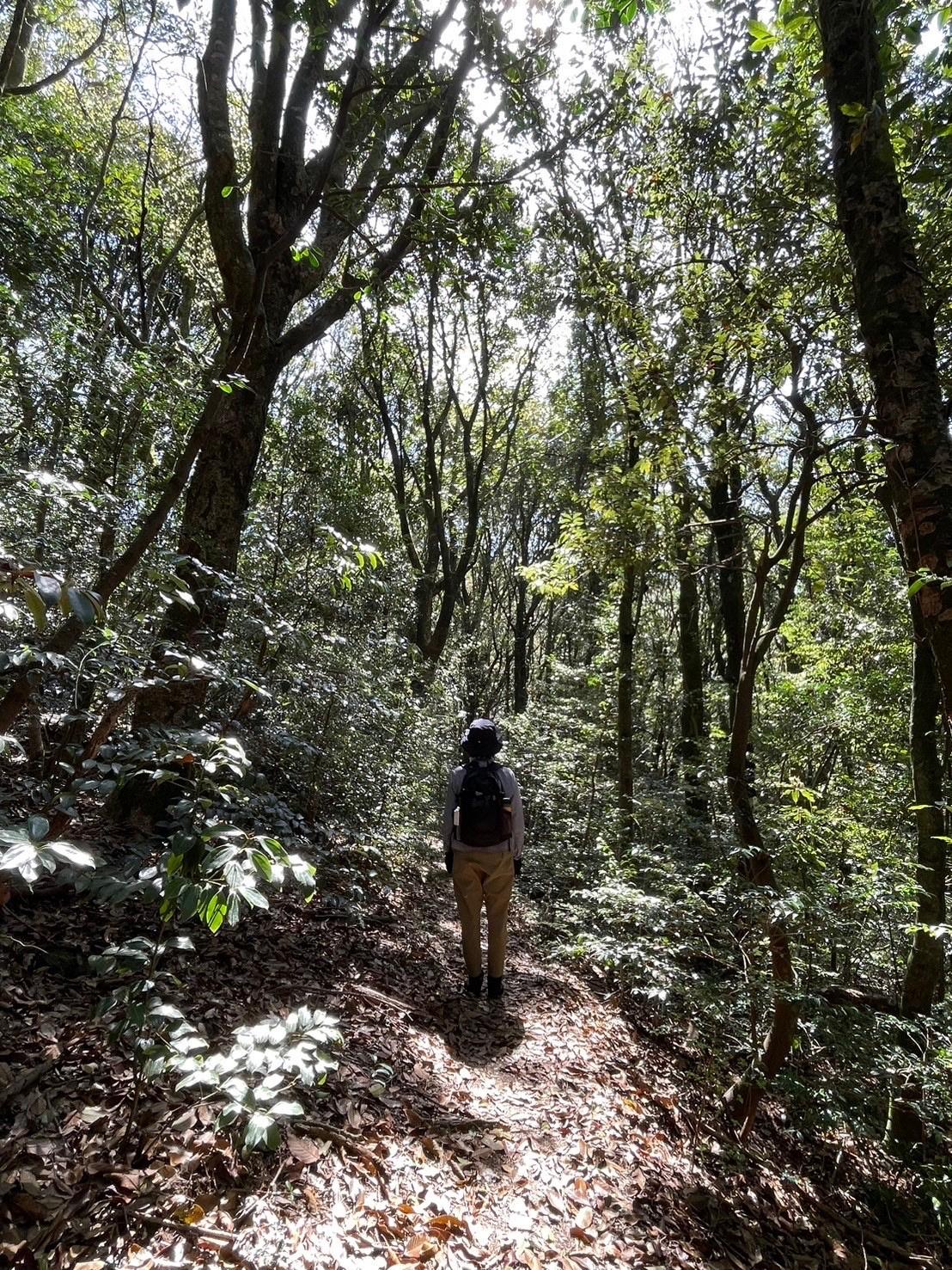 三瀬山・城ノ山・金山 / akkeyさんの脊振山・金山の活動データ | YAMAP / ヤマップ
