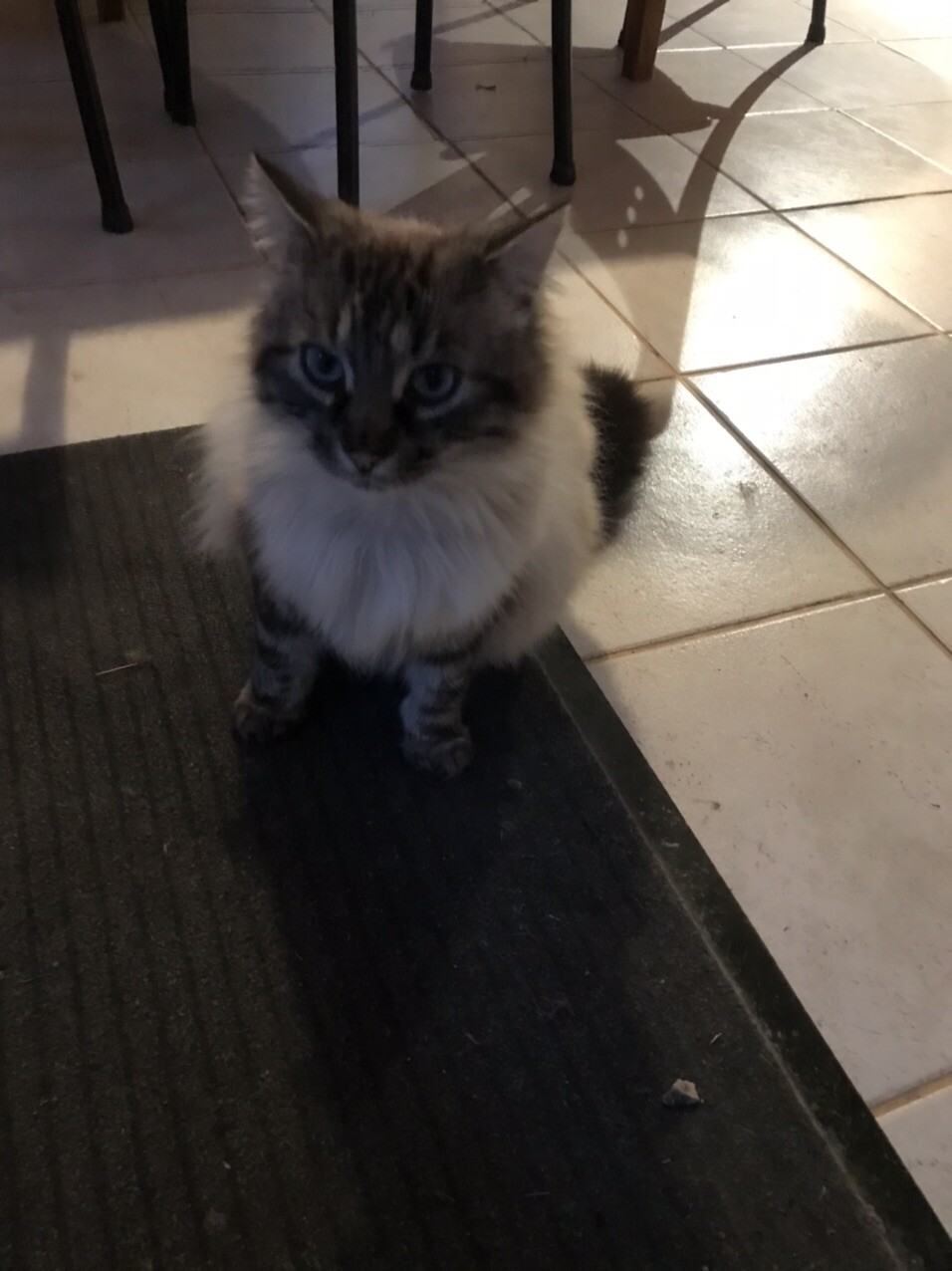 Ichiのページ | YAMAP / ヤマップ