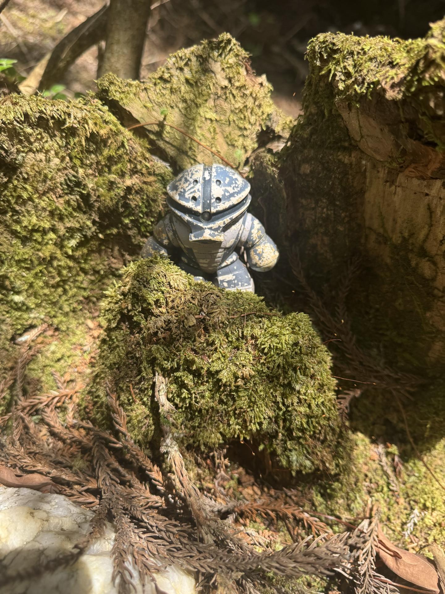 アッガイに会いに行ってきました うわ... / MASA👽さんのモーメント | YAMAP / ヤマップ