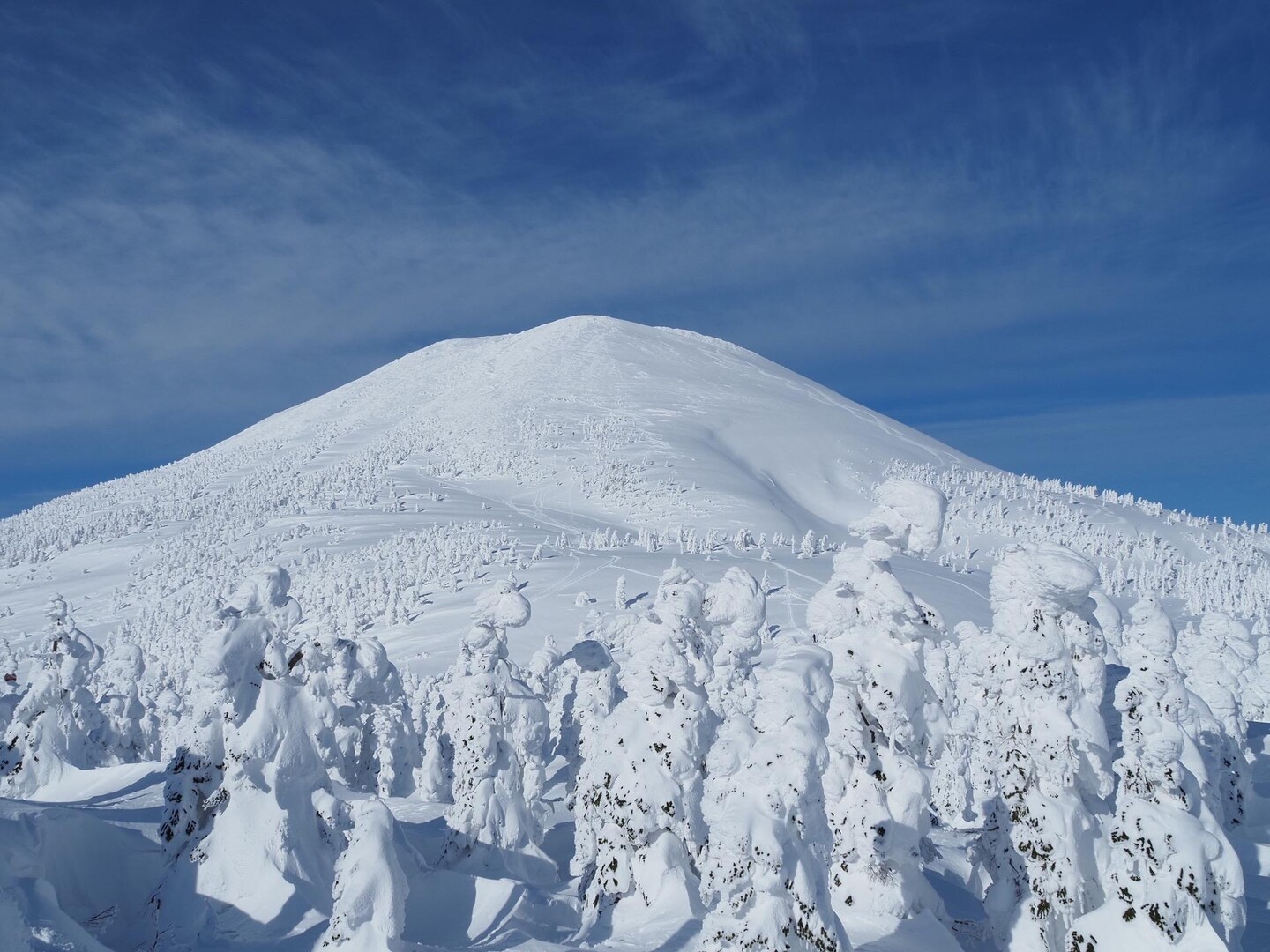 八甲田山の樹氷を見たくて / S.Kitaさんの八甲田山・高田大岳・雛岳の活動データ | YAMAP / ヤマップ
