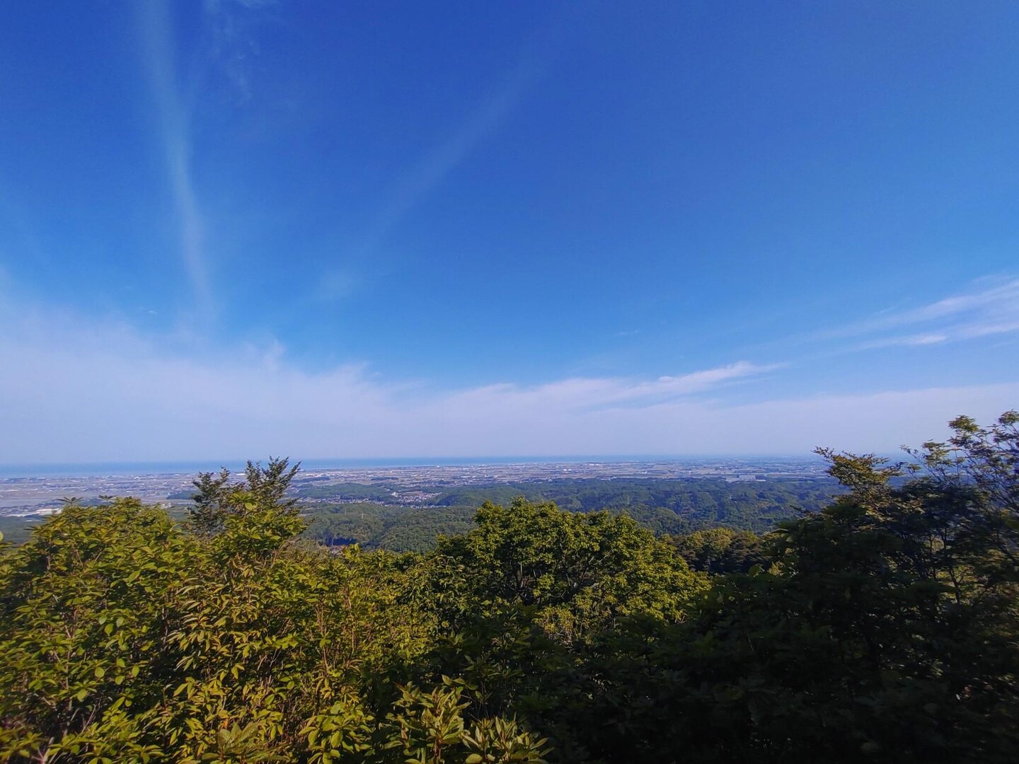 遣水観音山 / sugarさんの遣水観音山・遊泉寺砂山・高野山の活動データ | YAMAP / ヤマップ
