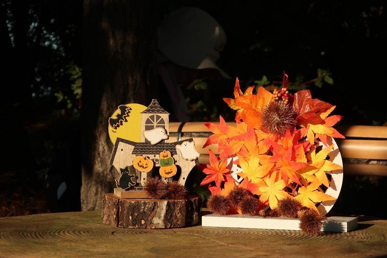 鳩吹SEVEN / みつさんの鳩吹山の活動日記 | YAMAP / ヤマップ