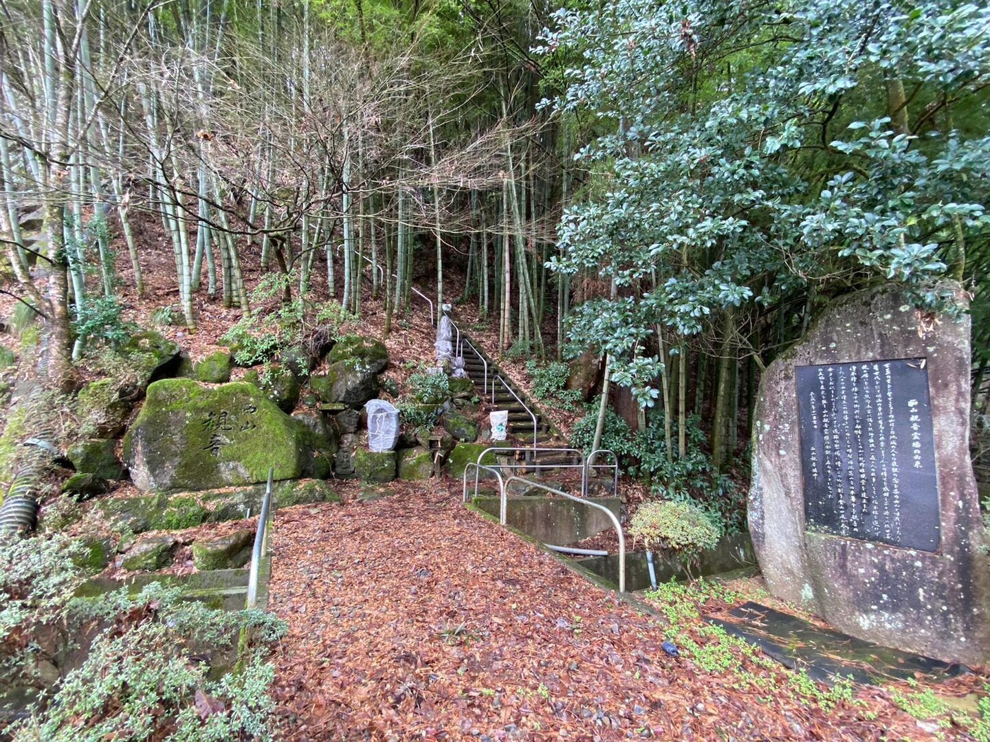 お代わりの西山へ / opal糸さんの日野山の活動データ | YAMAP / ヤマップ