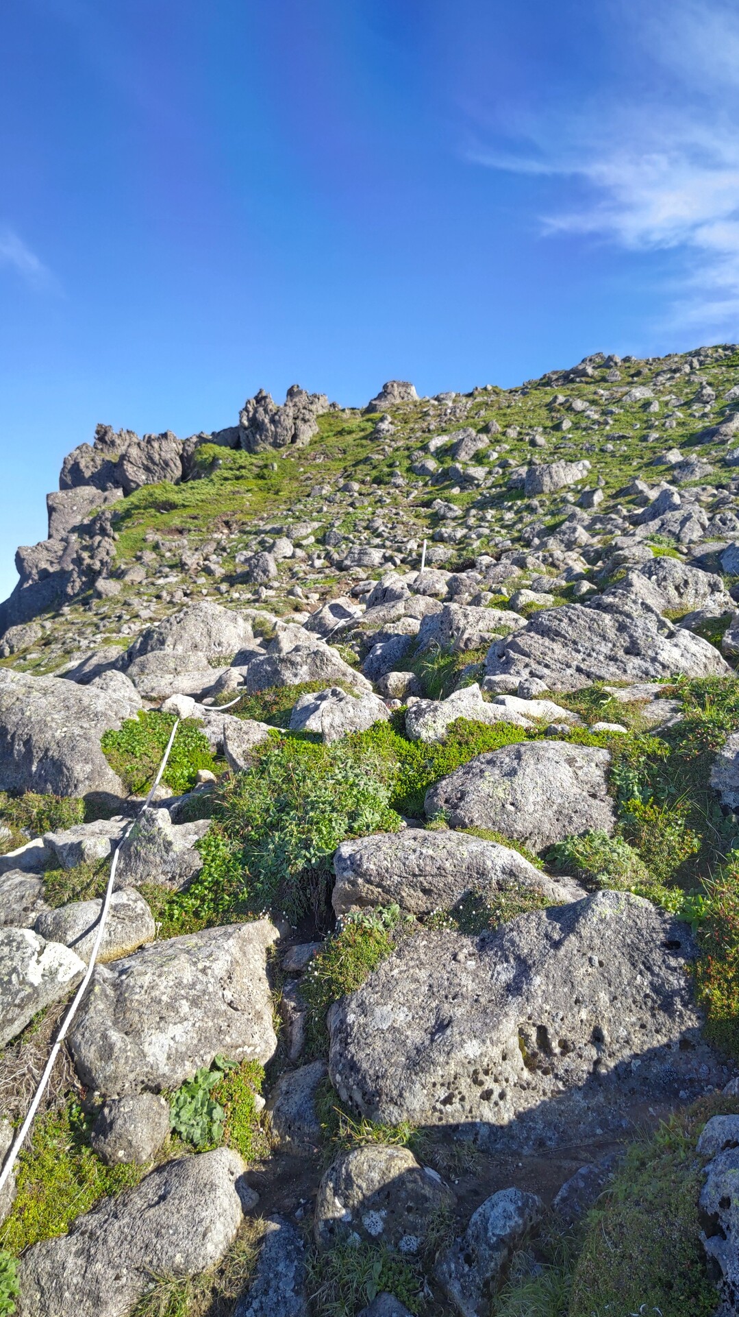 DSIさんの投稿したフィールドメモ | YAMAP / ヤマップ