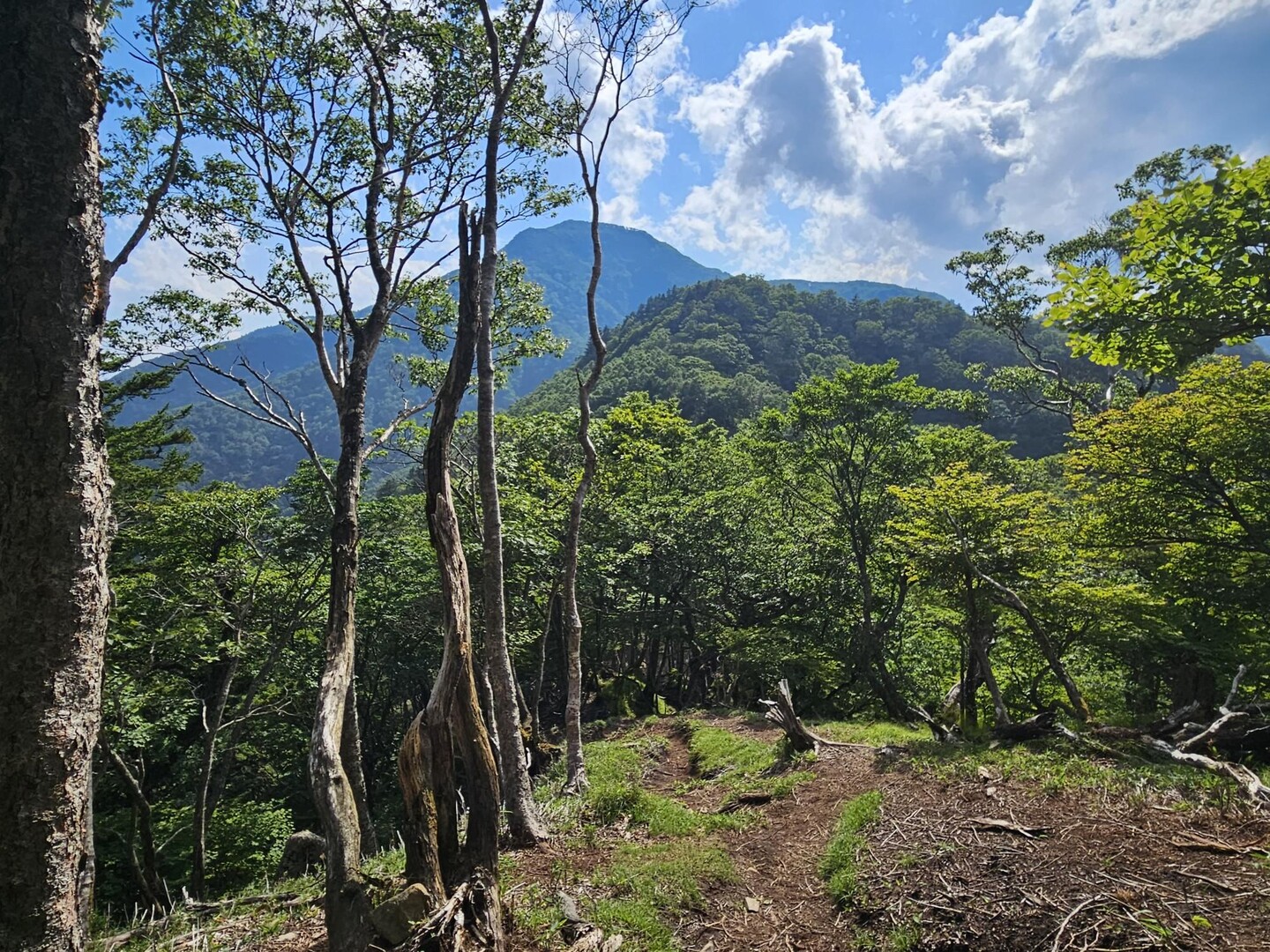 釈迦ヶ岳(高原山) / TC-mountainさんのウォーキングの活動データ | YAMAP / ヤマップ