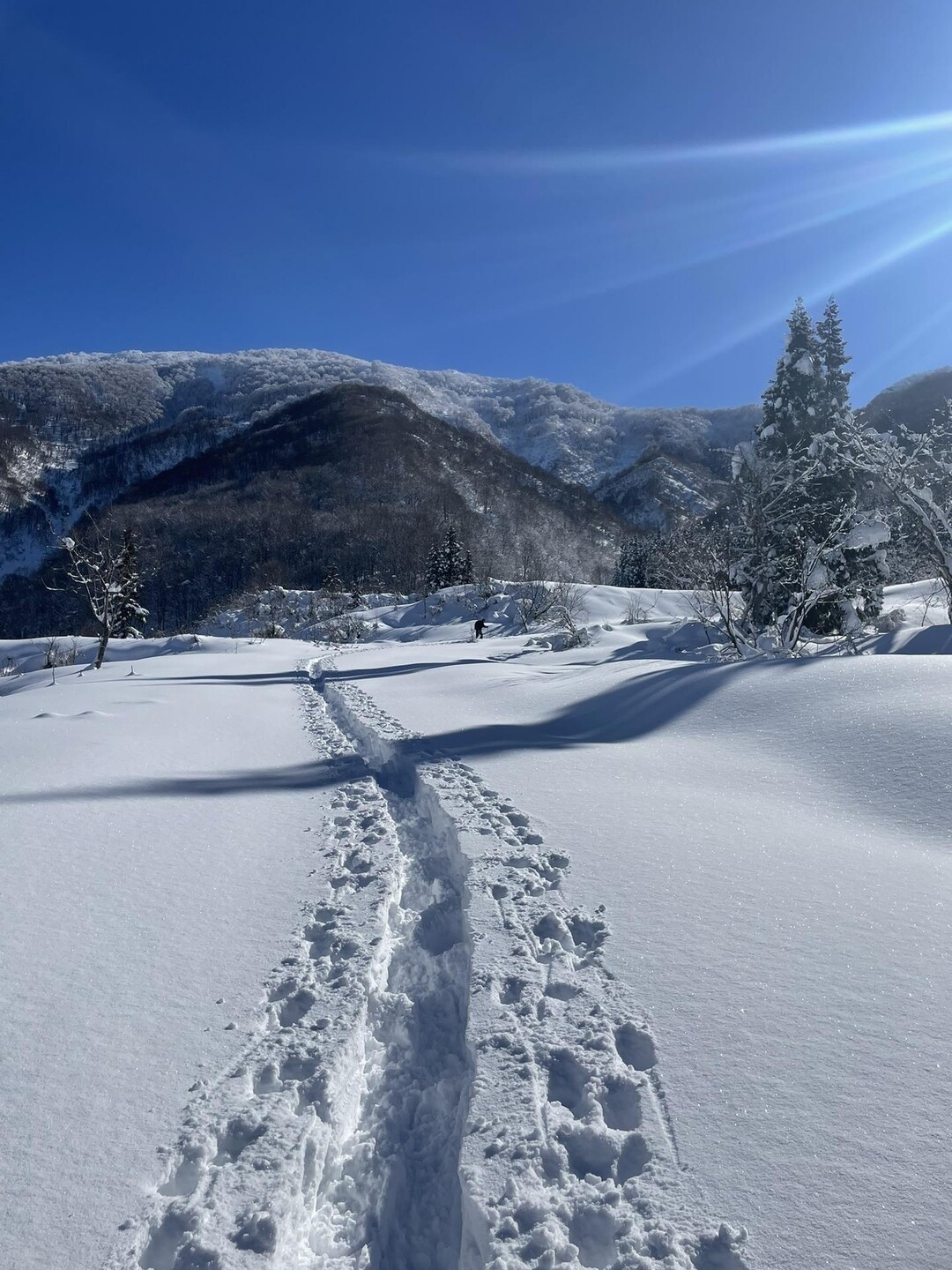 無念、人生初の途中撤退 阿寺山- 2024-01-17 / Lilyさんの越後駒ヶ岳・八海山・荒沢岳の活動データ | YAMAP / ヤマップ