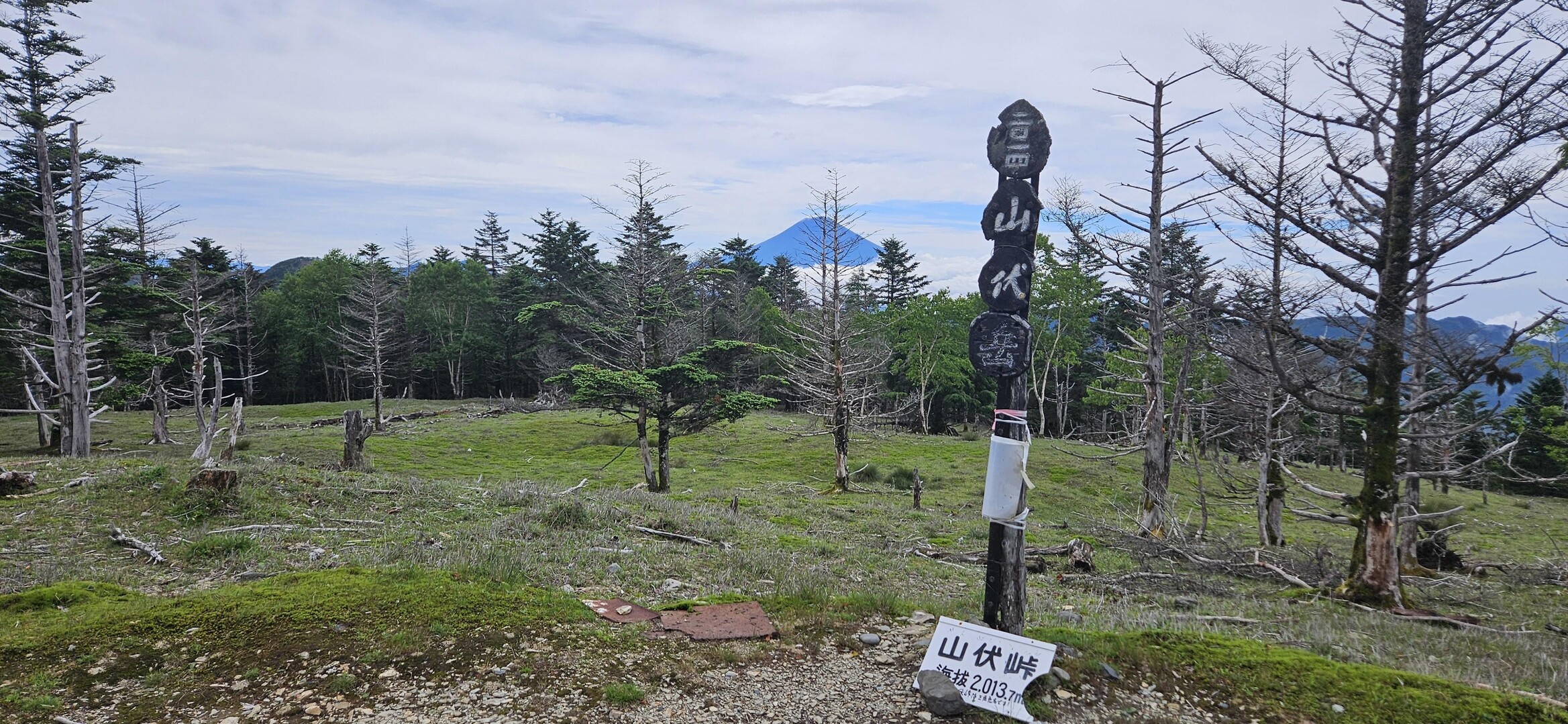 山伏 / moochi さんの山伏・八紘嶺・笹山の活動データ | YAMAP / ヤマップ