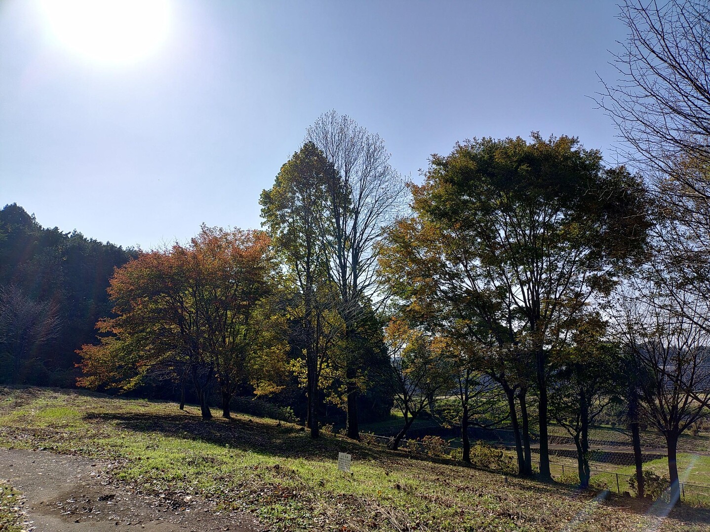 今日はいろいろと用事があるため短時間で歩... / Neo-amaterasuさんのモーメント | YAMAP / ヤマップ