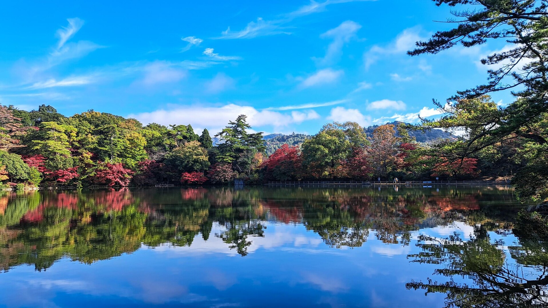 再度公園からおんたき茶屋 / teruさんの六甲山・長峰山・摩耶山の活動データ | YAMAP / ヤマップ