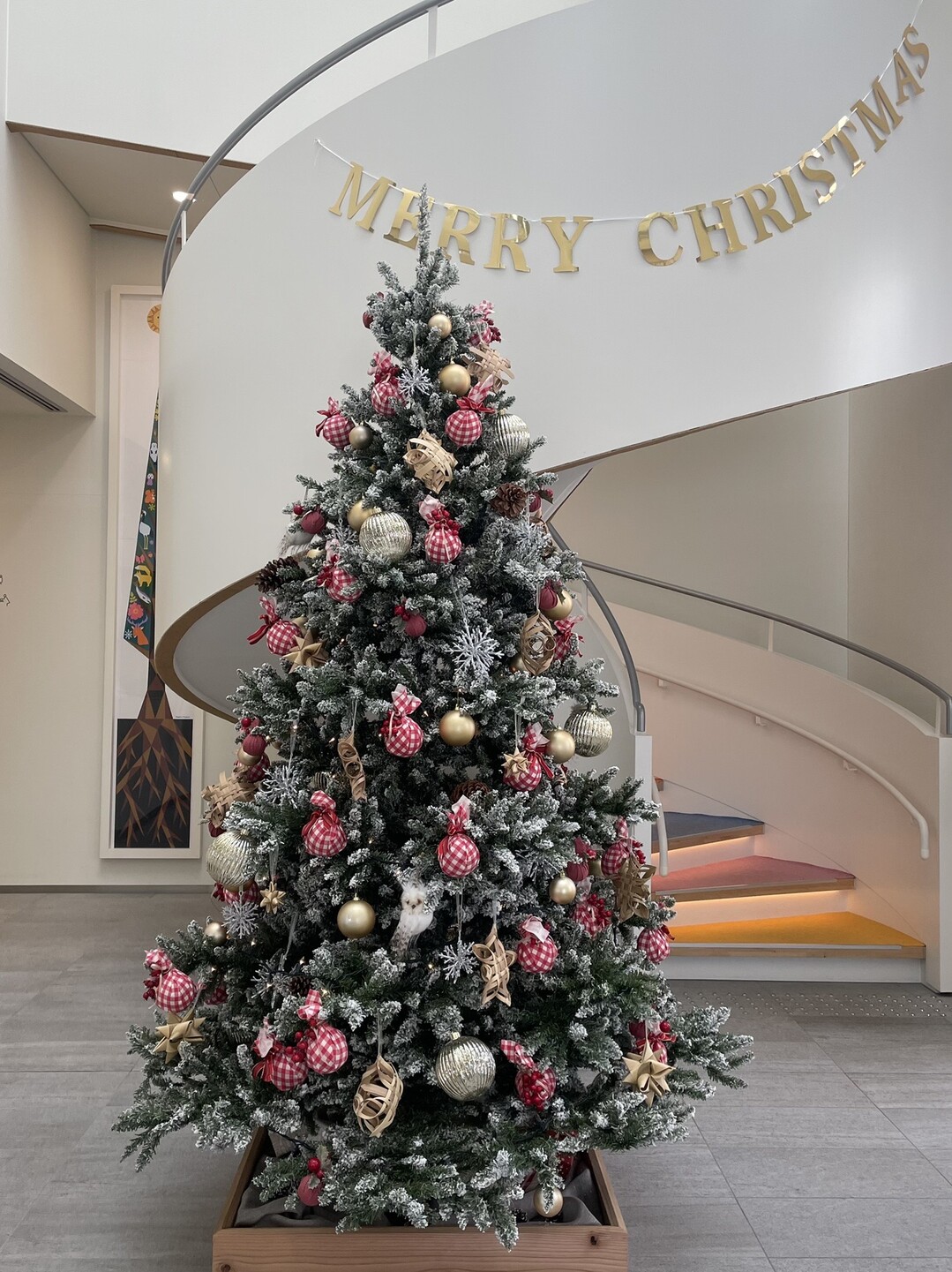 🎄Merry〜Christmas〜 ... / rierinko🐰さんのモーメント | YAMAP / ヤマップ