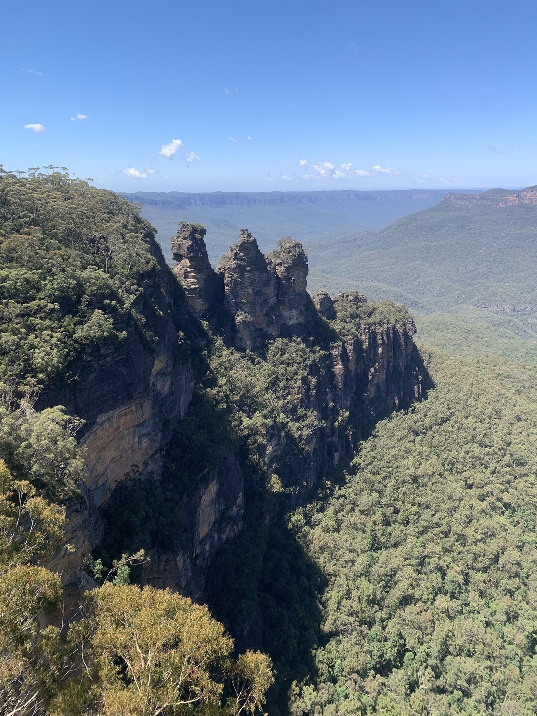 豪GOオーストラリア‼️🇦🇺③ ス... / hrkoolbutyさんのモーメント | YAMAP / ヤマップ