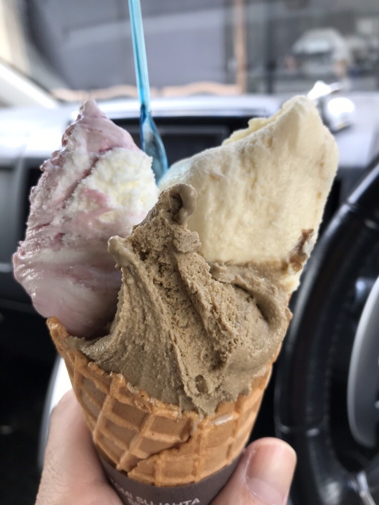 neon neoのページ | YAMAP / ヤマップ